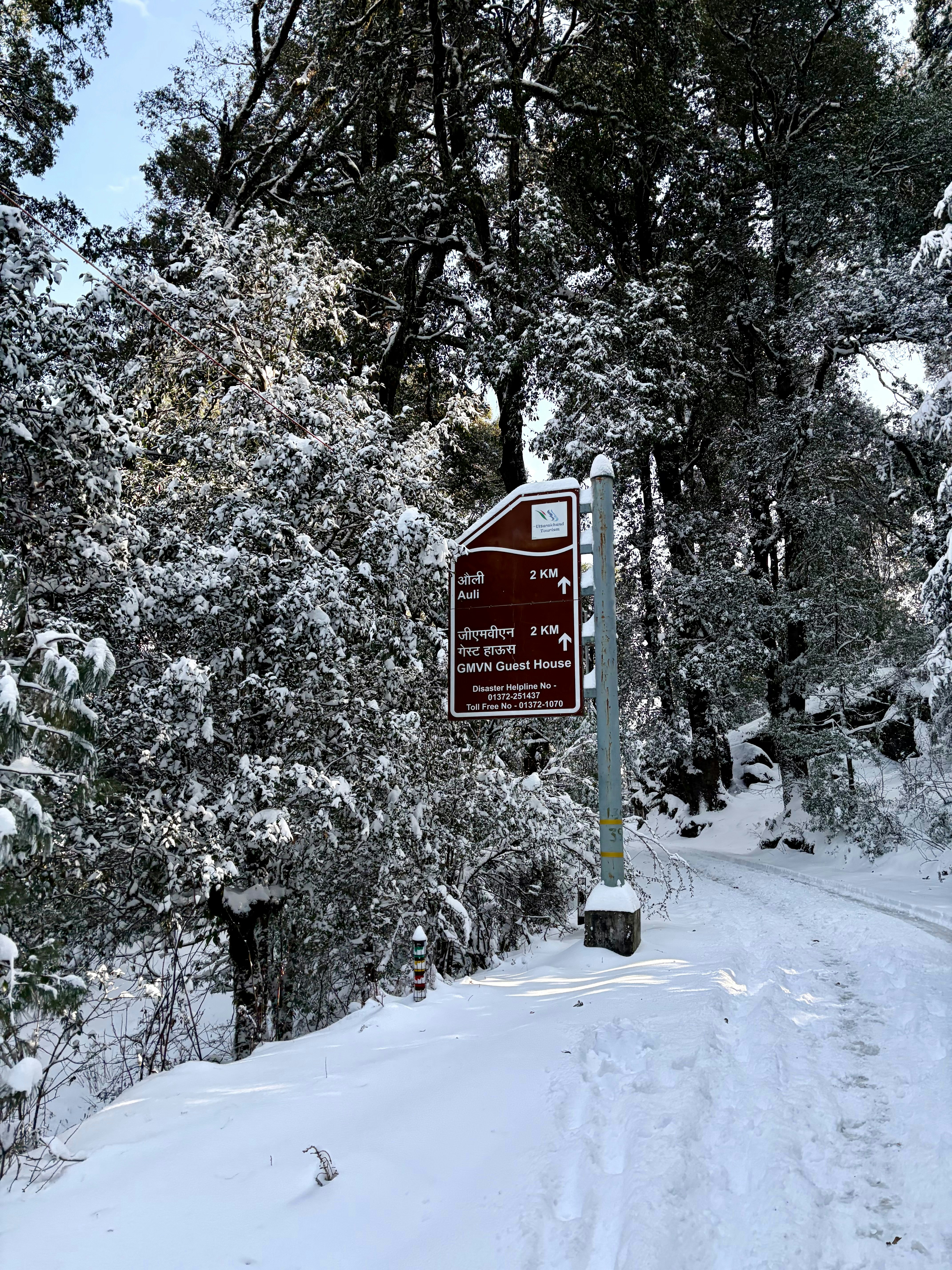 Snow-Covered Trail Sign Amid Quiet Pines