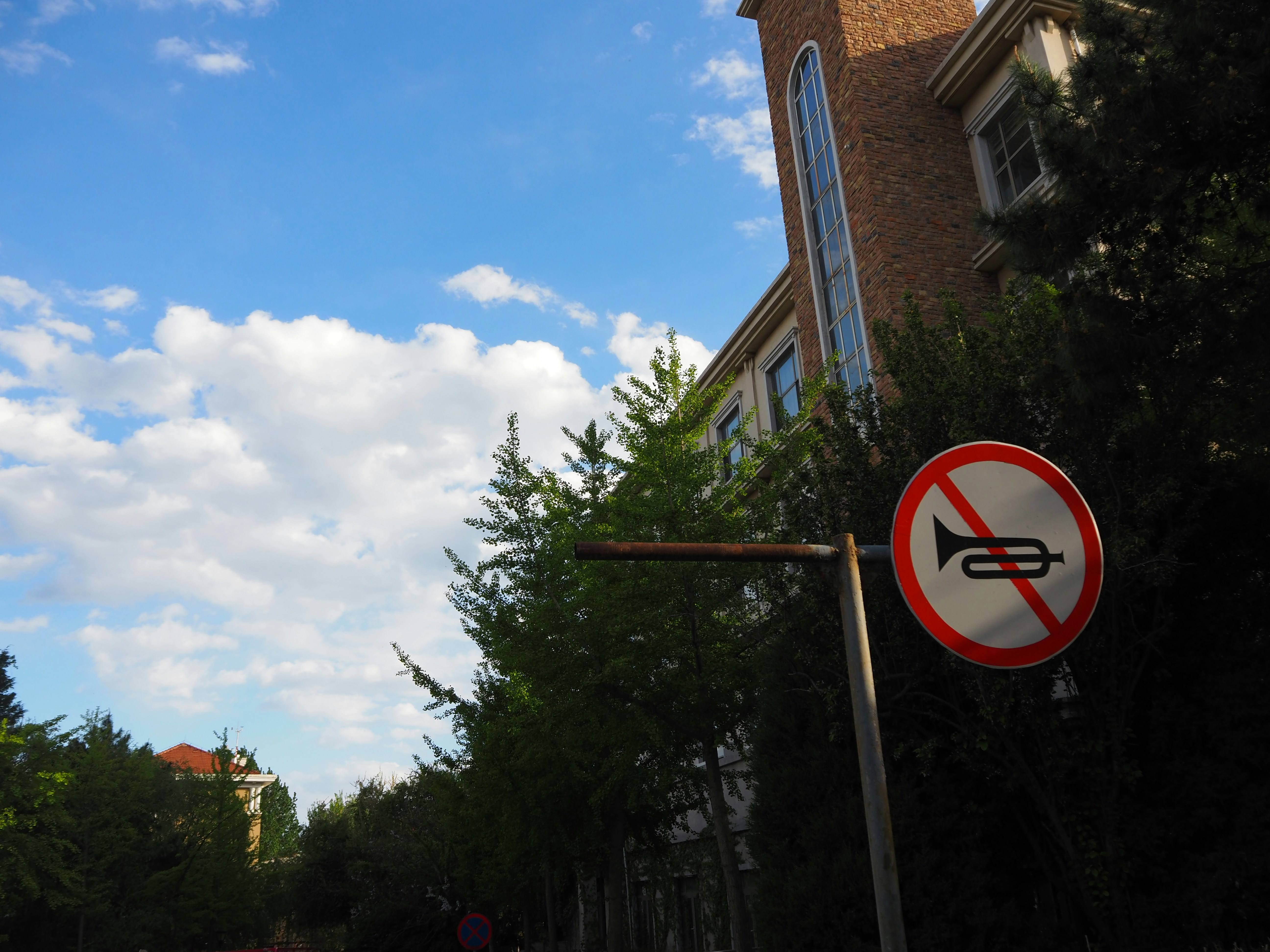 No honking sign on a pole by trees