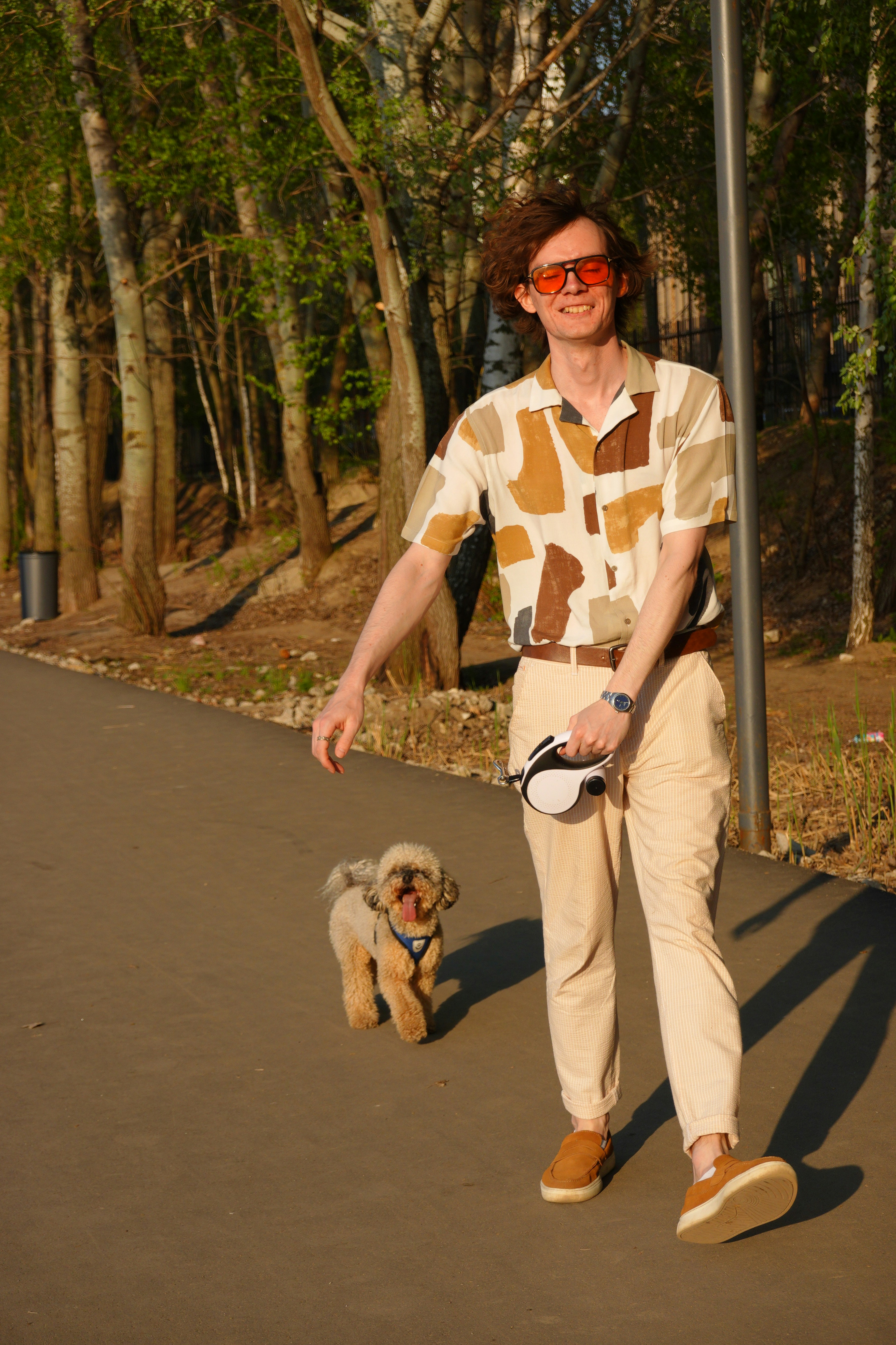 Sunny Stroll with Canine Companion