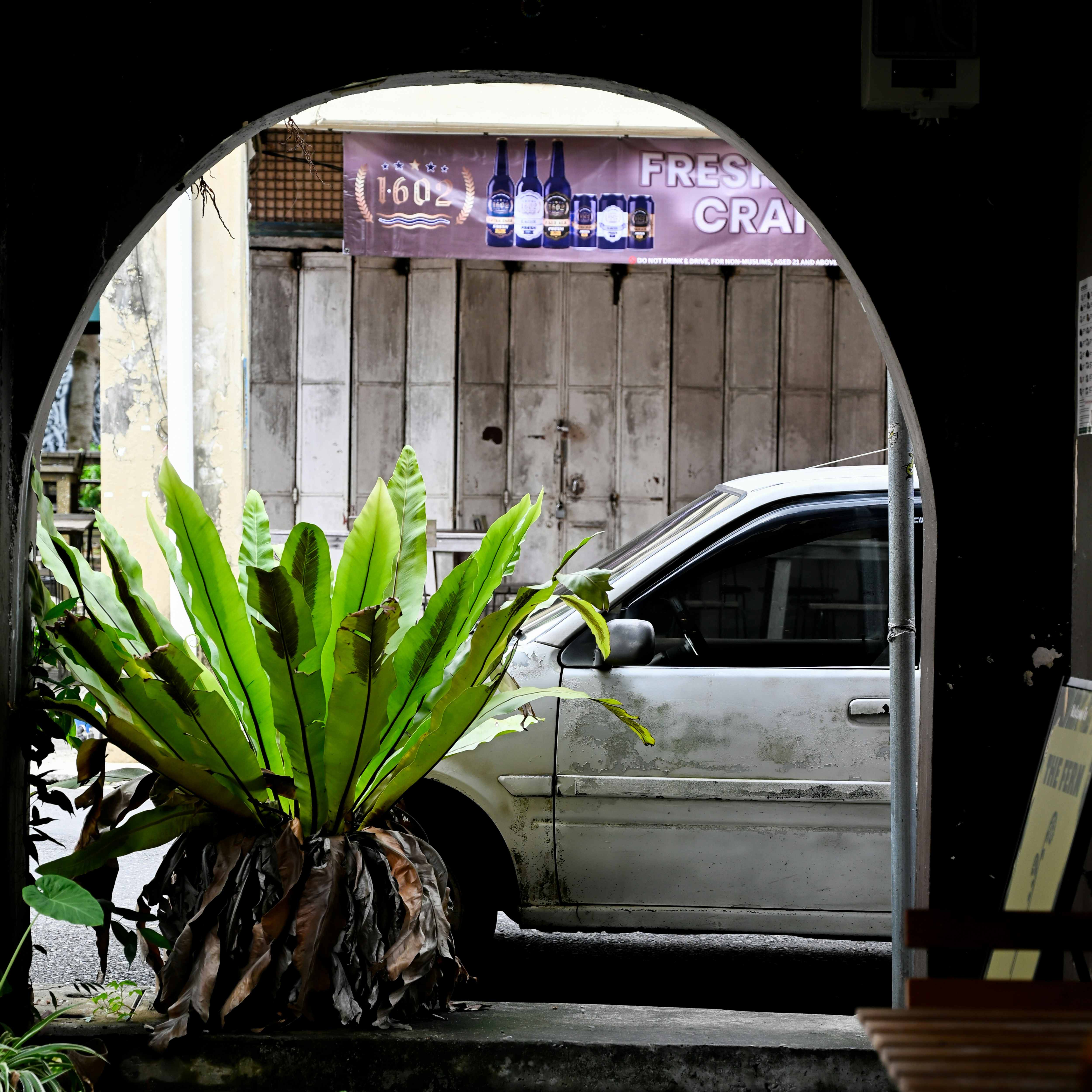 Open-Ended Alleyframe: Vehicle Framed by Greenery Under an Arched Arch