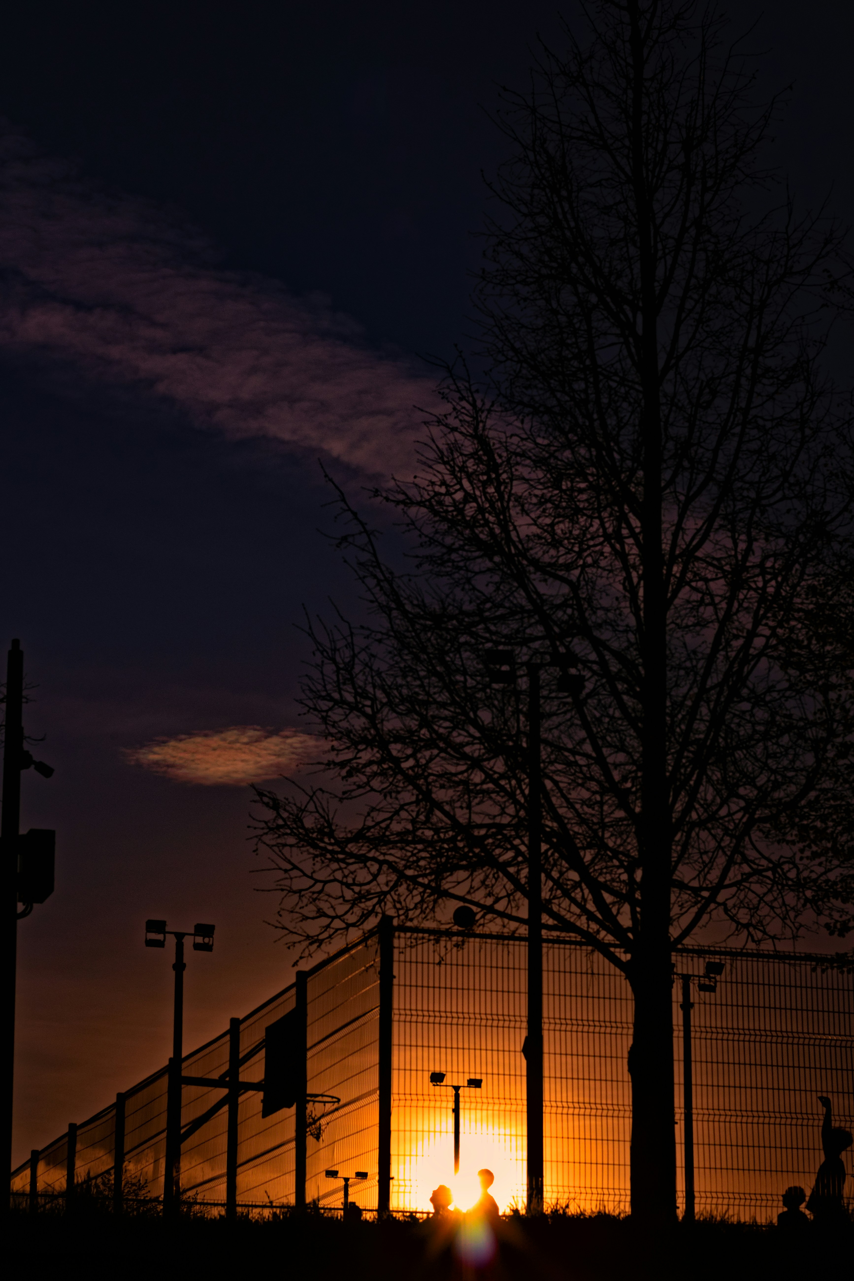 Silhouetted Fence and Tree at Sunset