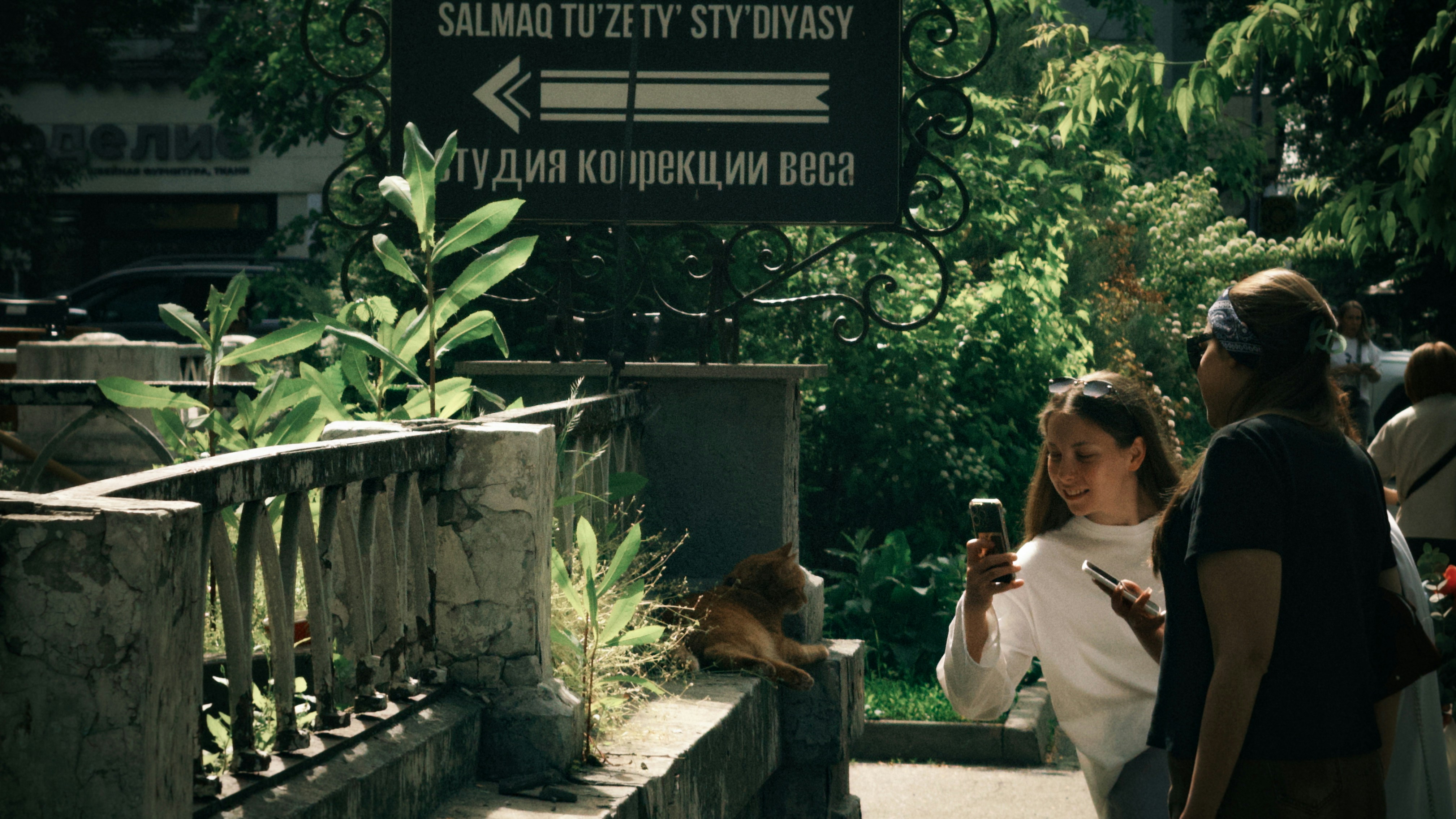 Smartphone moment by the gate: a girl documenting a friend beside a stone railing