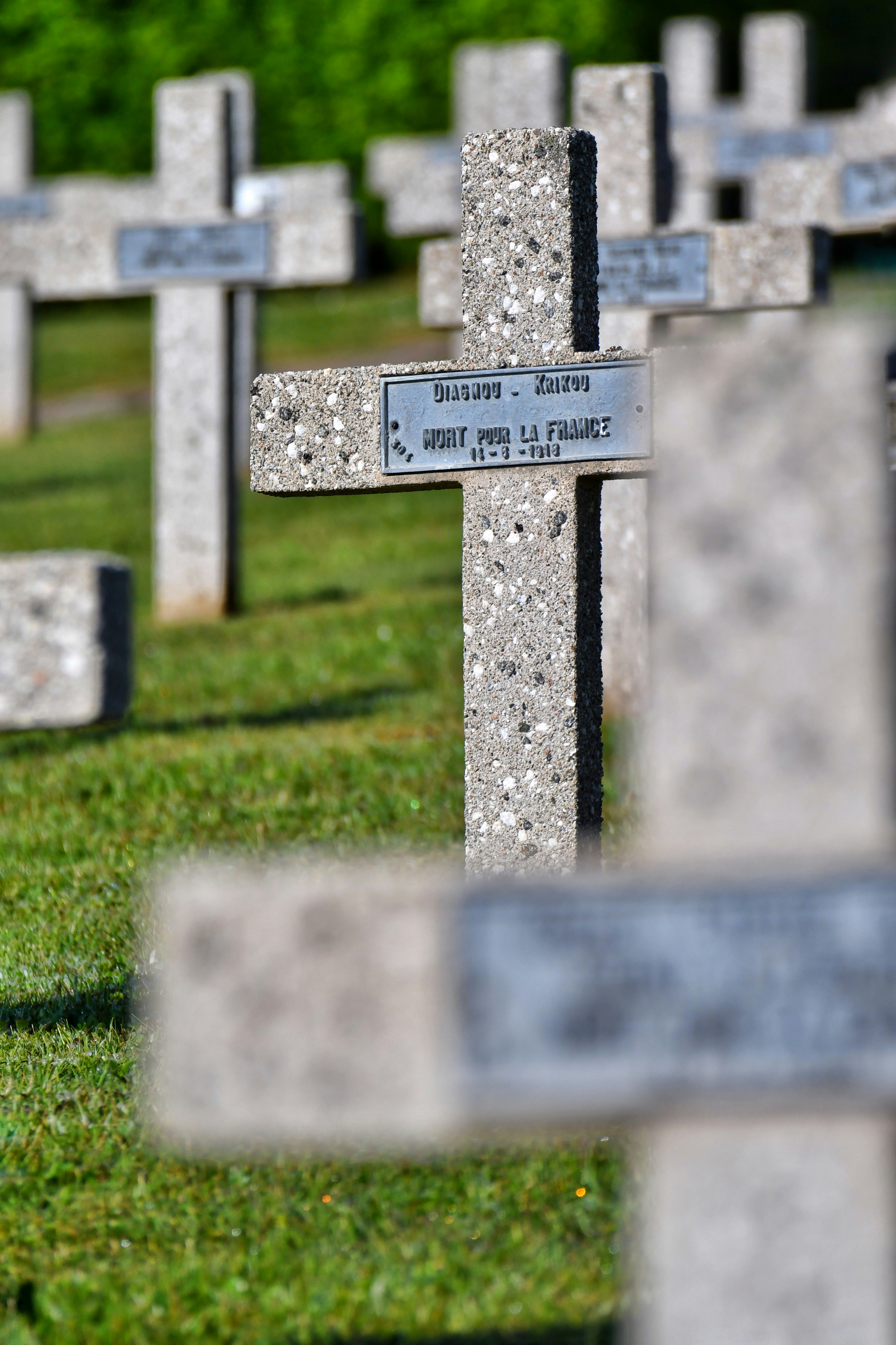Rows of Quiet Honor: A Cemetery of Weathered Crosses Standing in the Sun