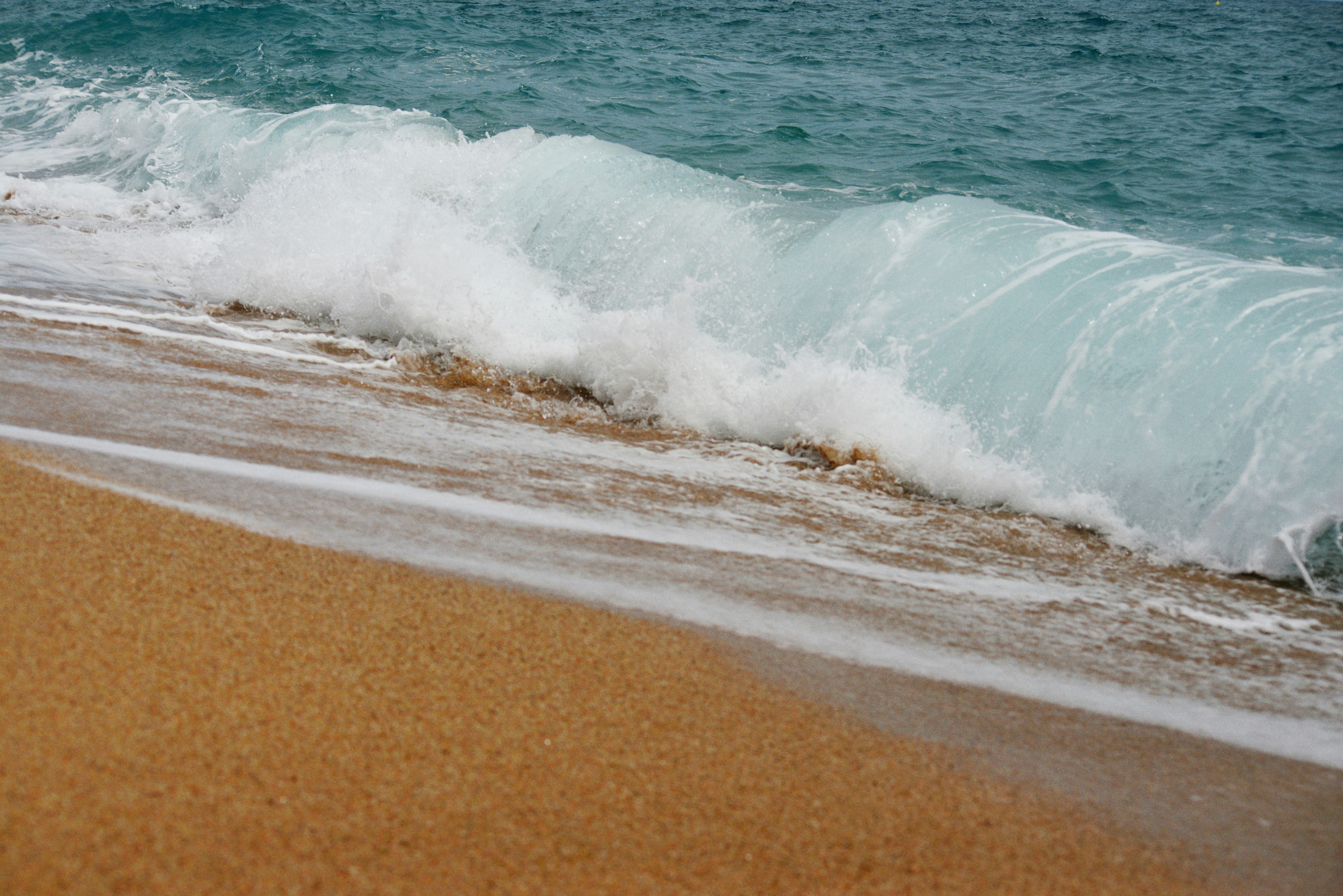 Fringes of Surf: A Quiet Moment on Sunny Sand