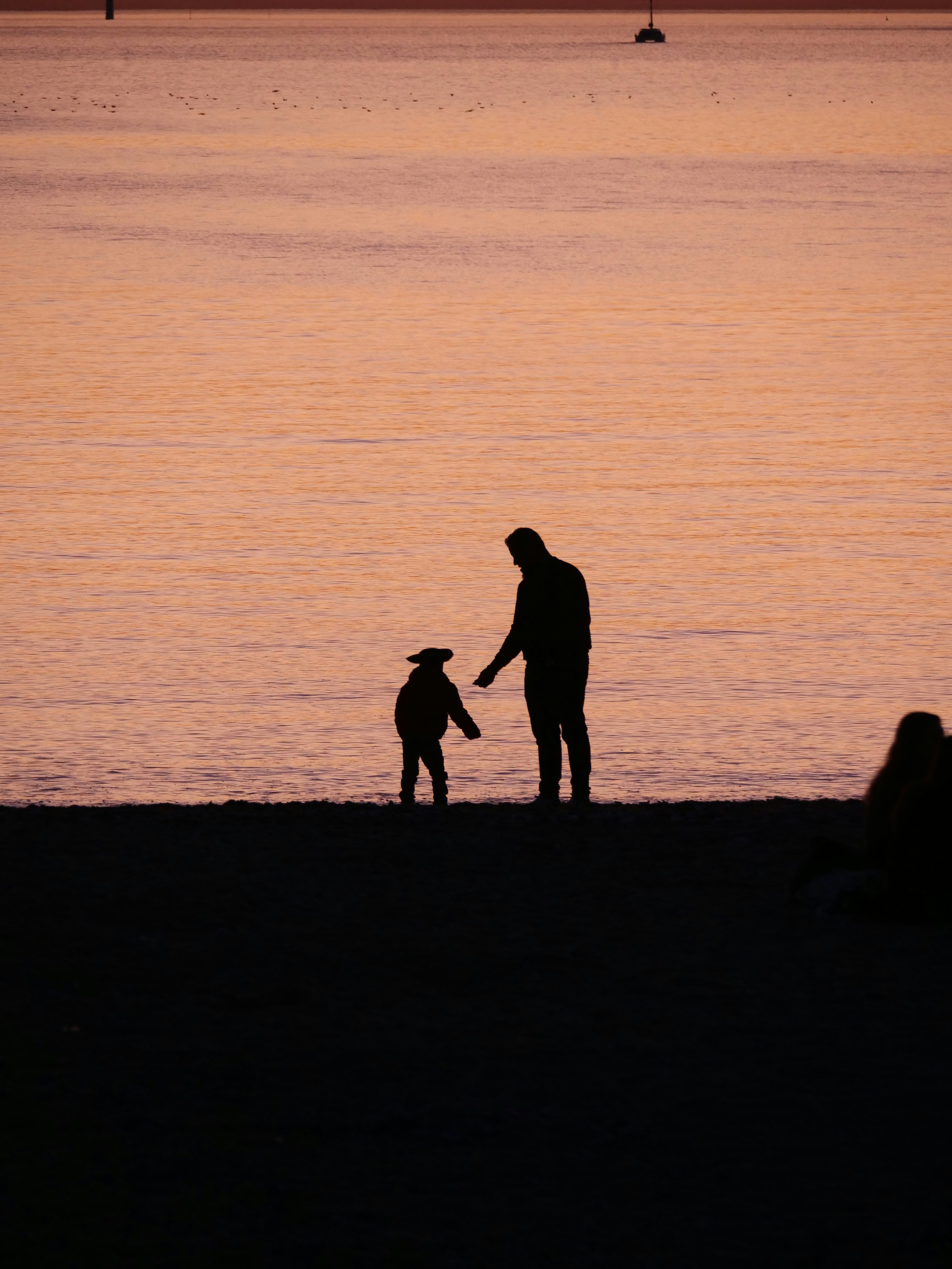 Silhouette at Sunset: Father and Child by the Quiet Shore