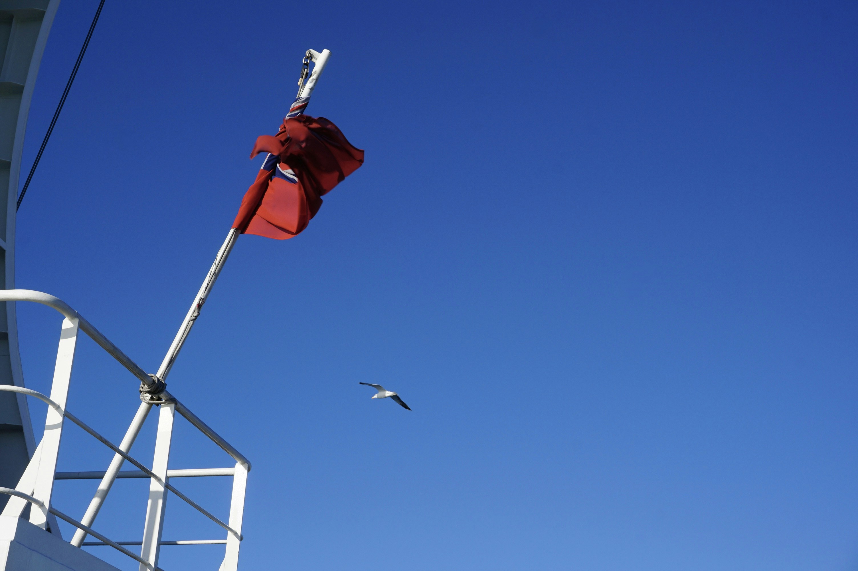 Flag atop the ship’s rigging under a clear blue sky, with a lone seagull in flight