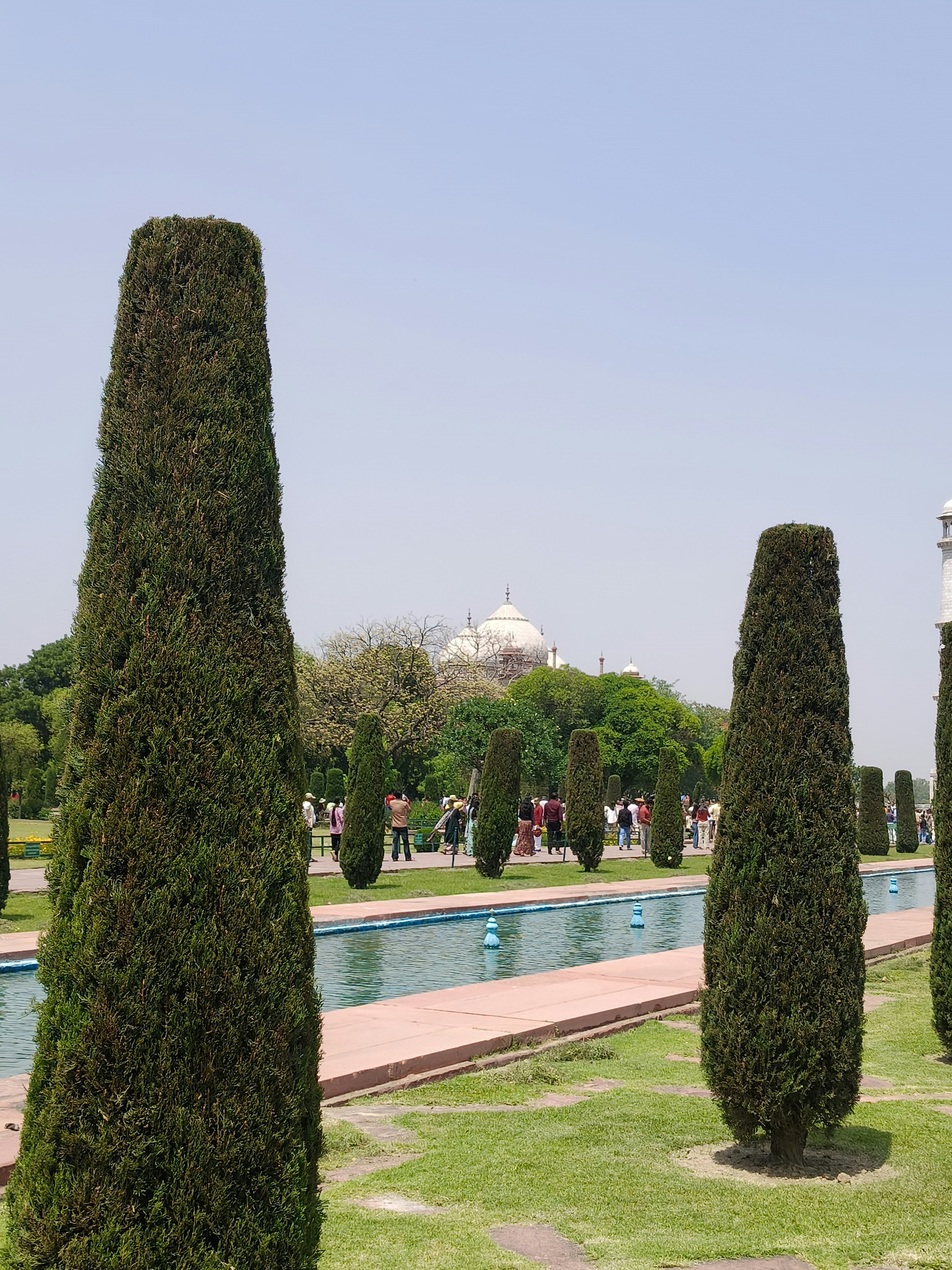 Symmetrical Run of Cypresses Framing a Monumental Roofline