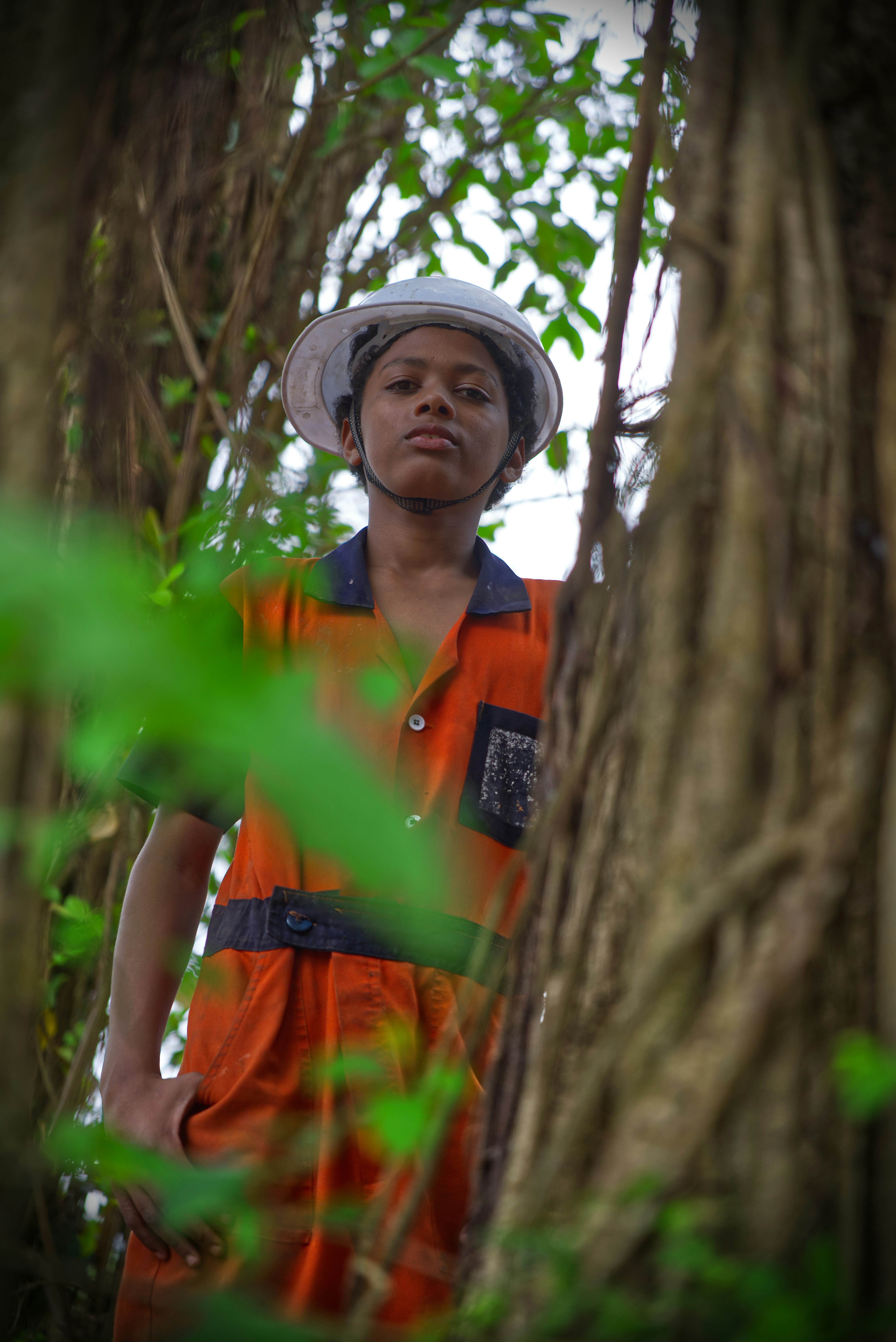 Eyes Between the Trunk: A Young Worker in the Forest