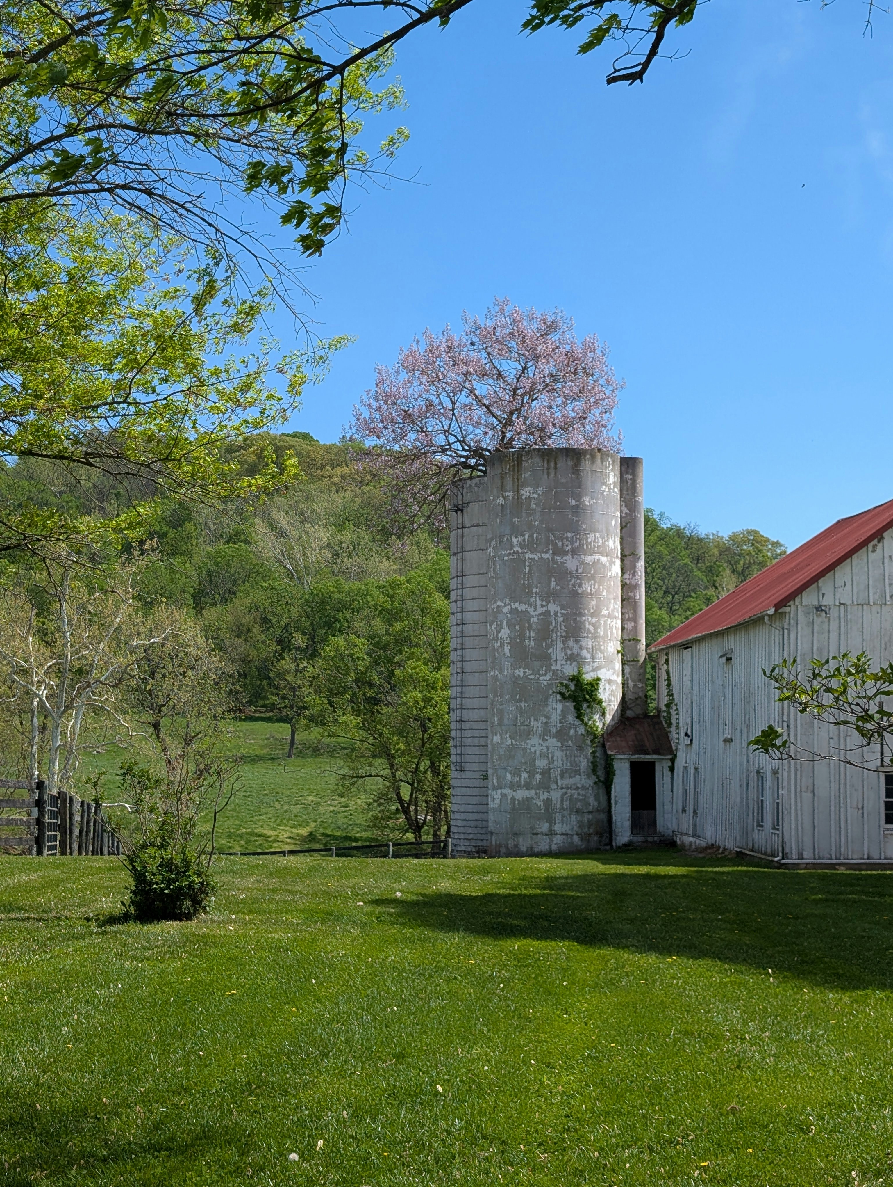 Sunlit Silo and Barn Basking in Open Fields