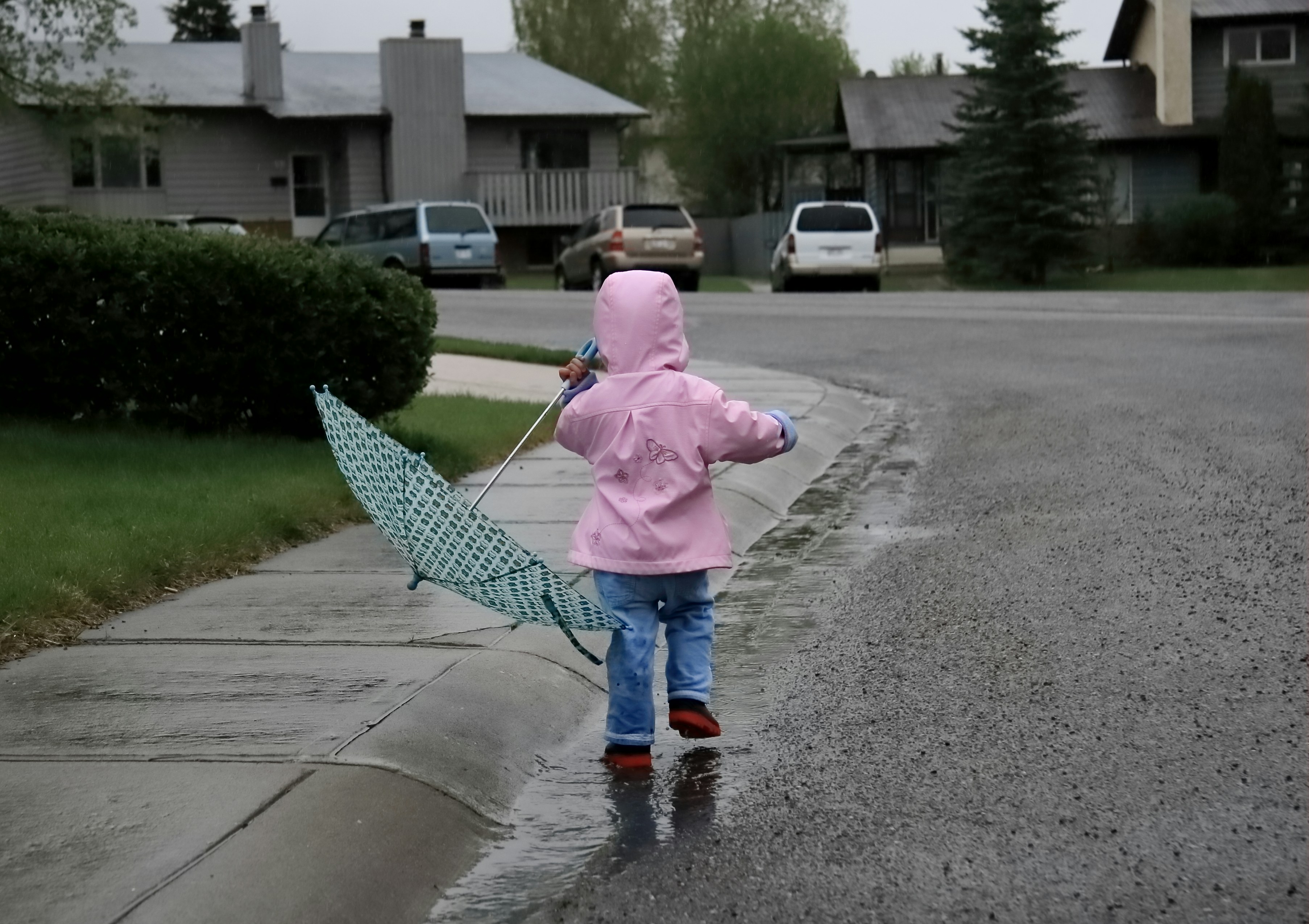 Pink Parasol Trek: A Quiet Street Moment
