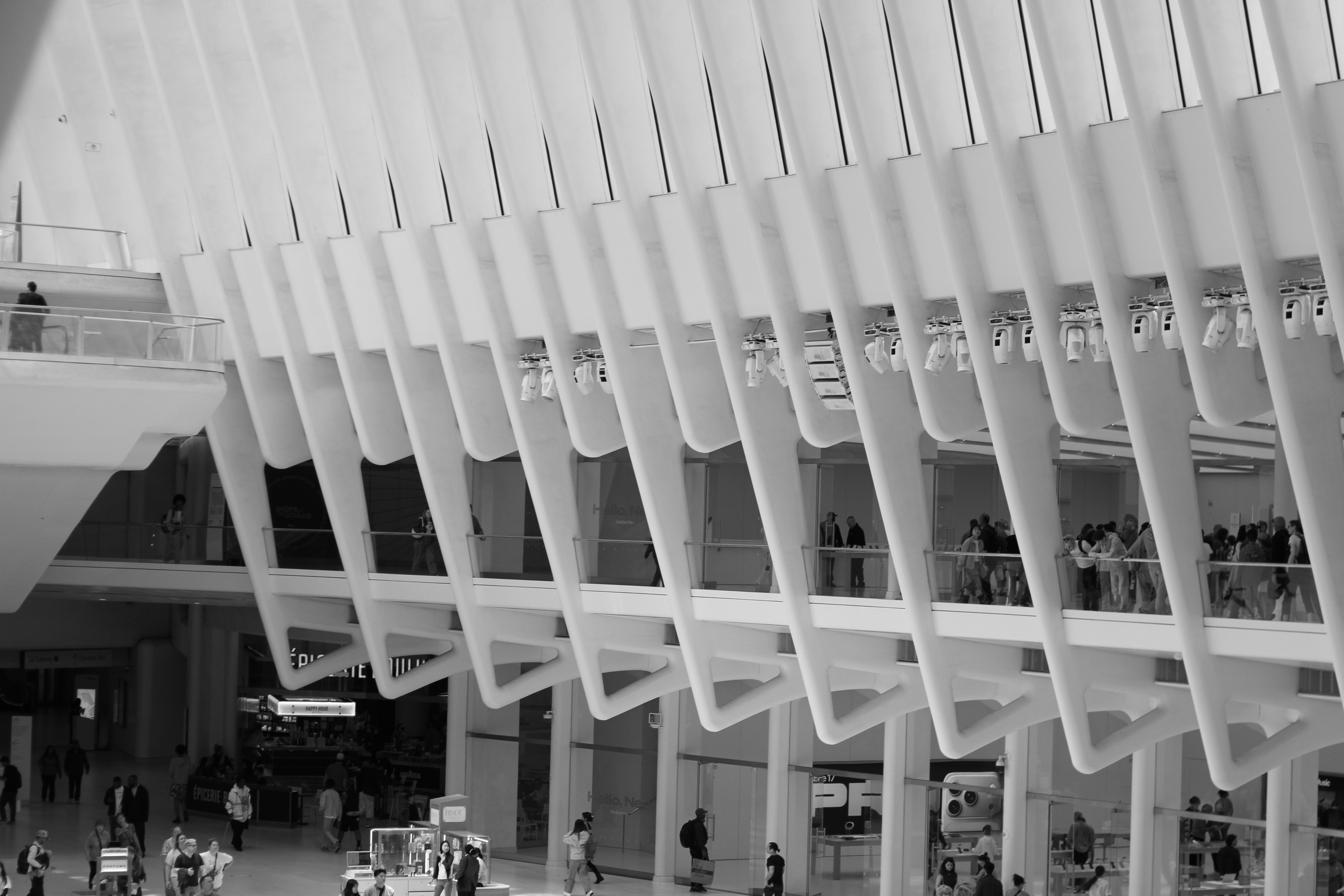 Ribbed Architecture: A Wave of Columns at the Bowl