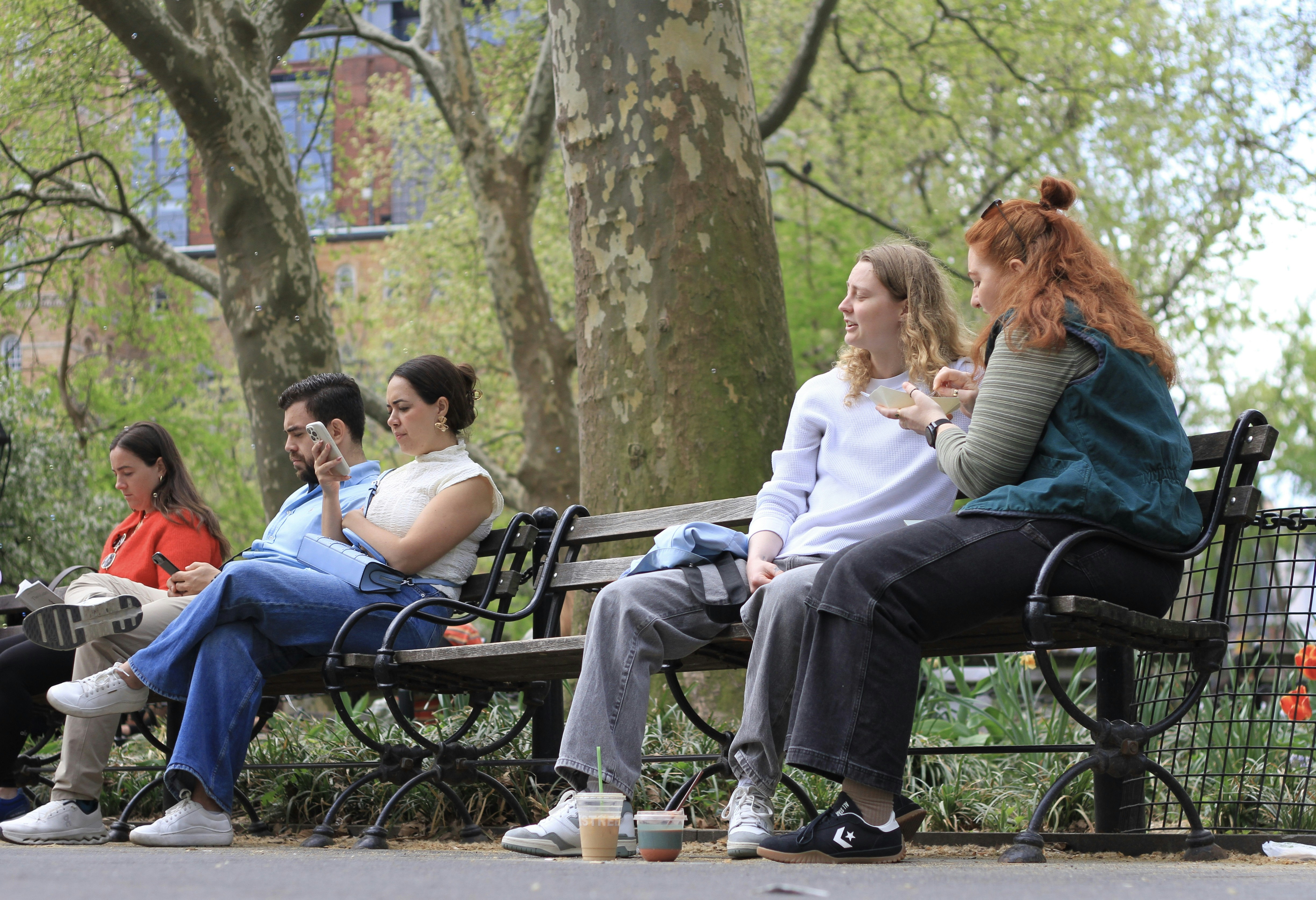 Garden Bench Harmony: a group of friends sharing a pause in the park