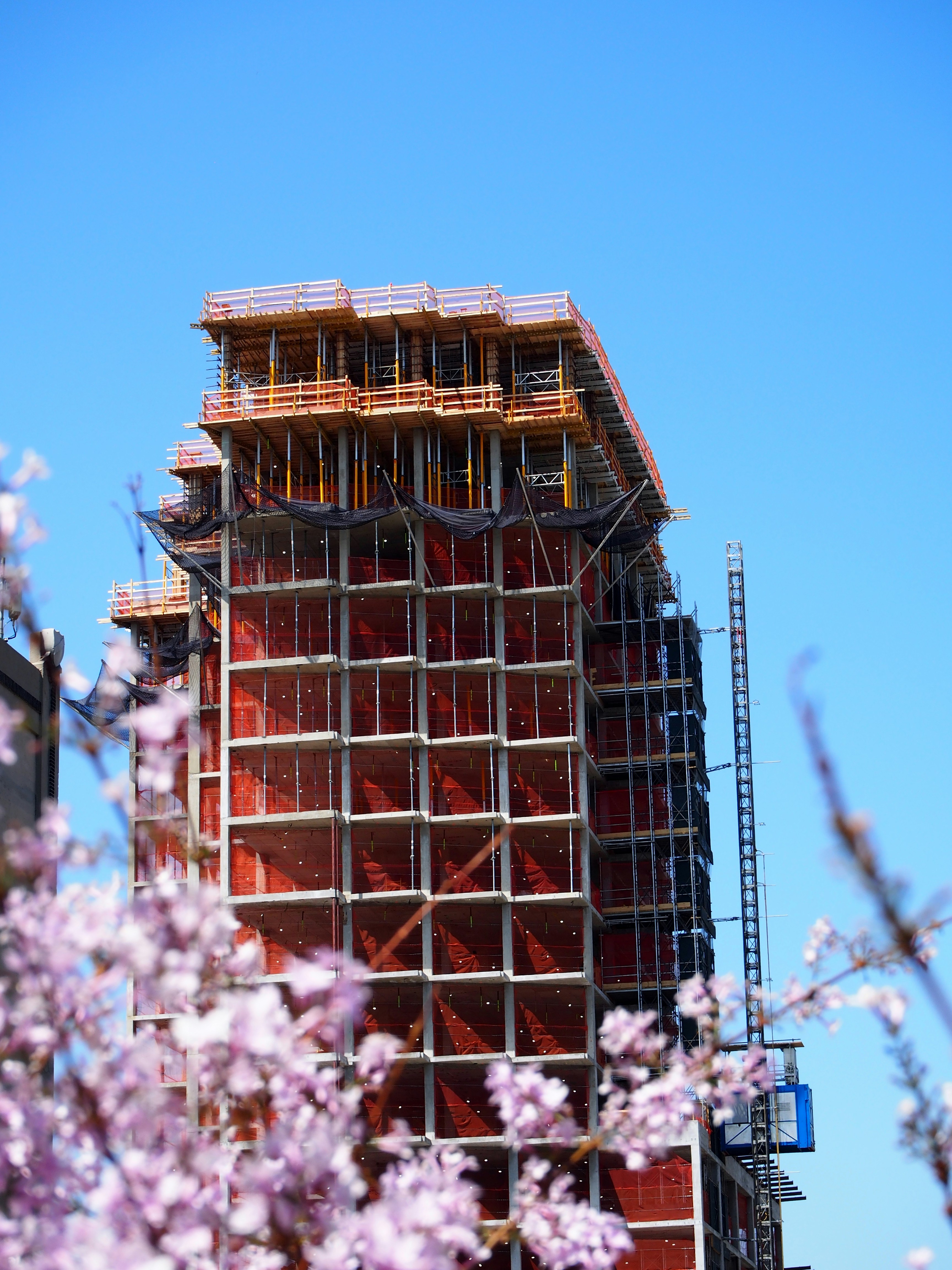 Tower under Construction Framed by Blossoms