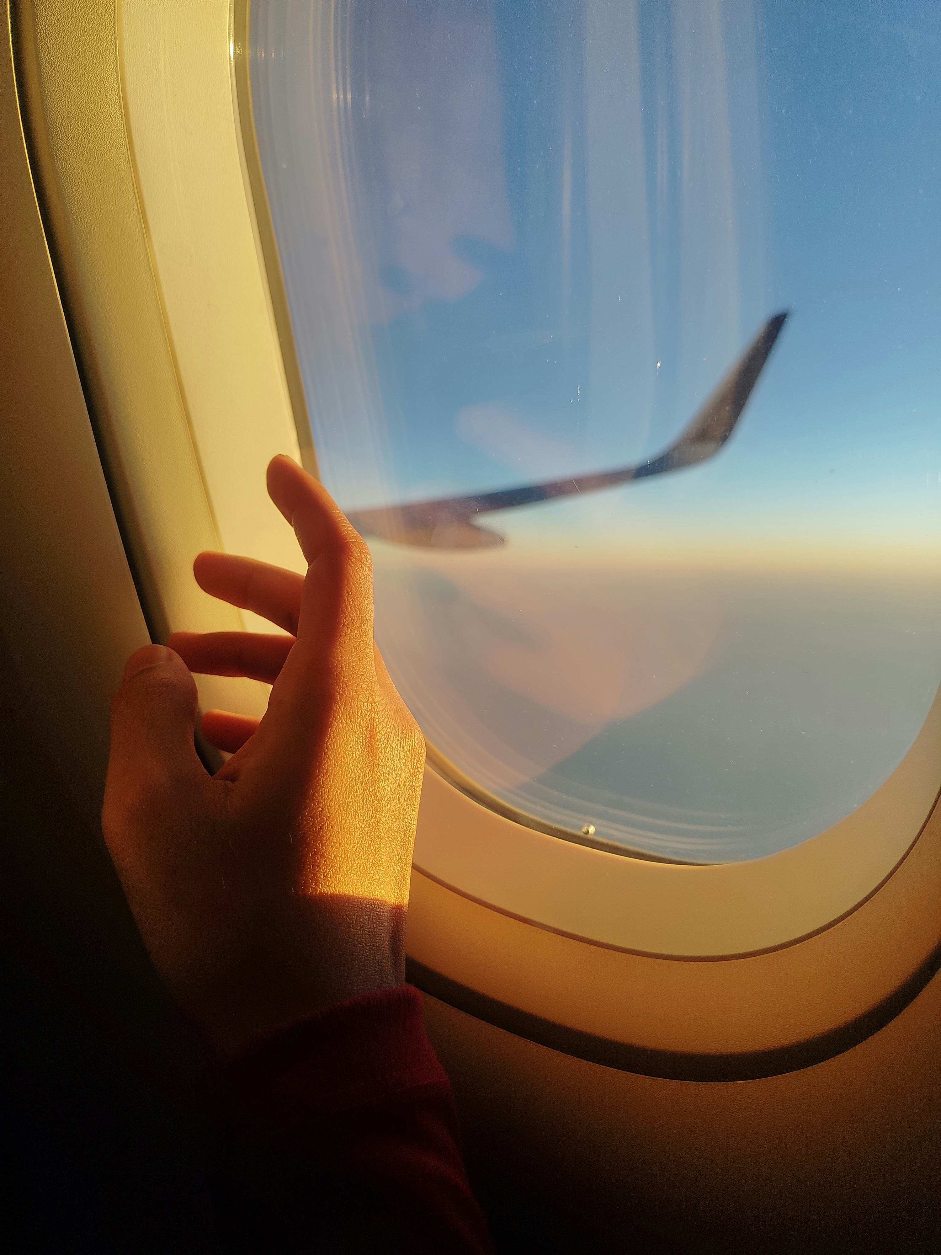 Airplane!