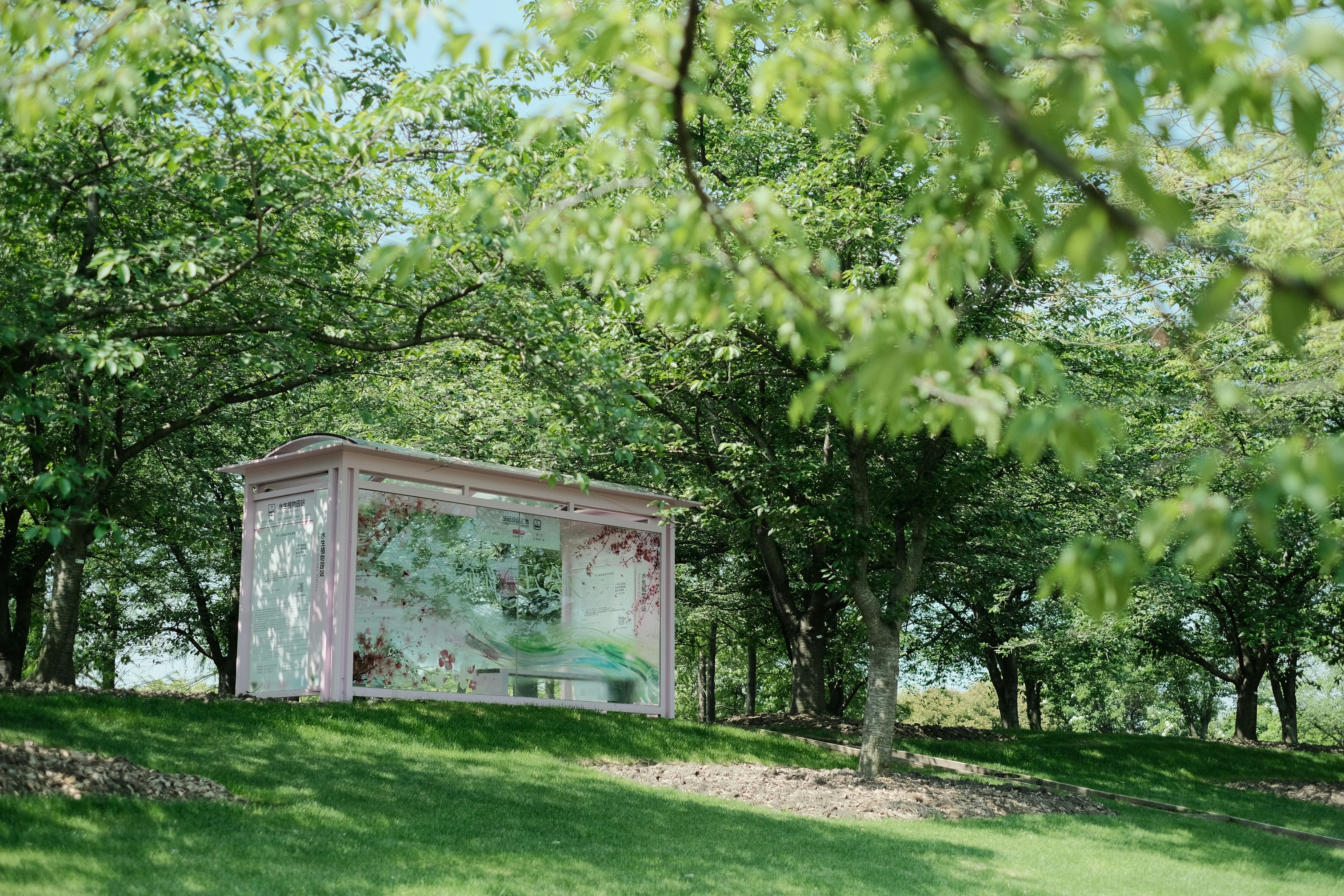 Quiet Glass Shelter in a Sunlit Green Glade