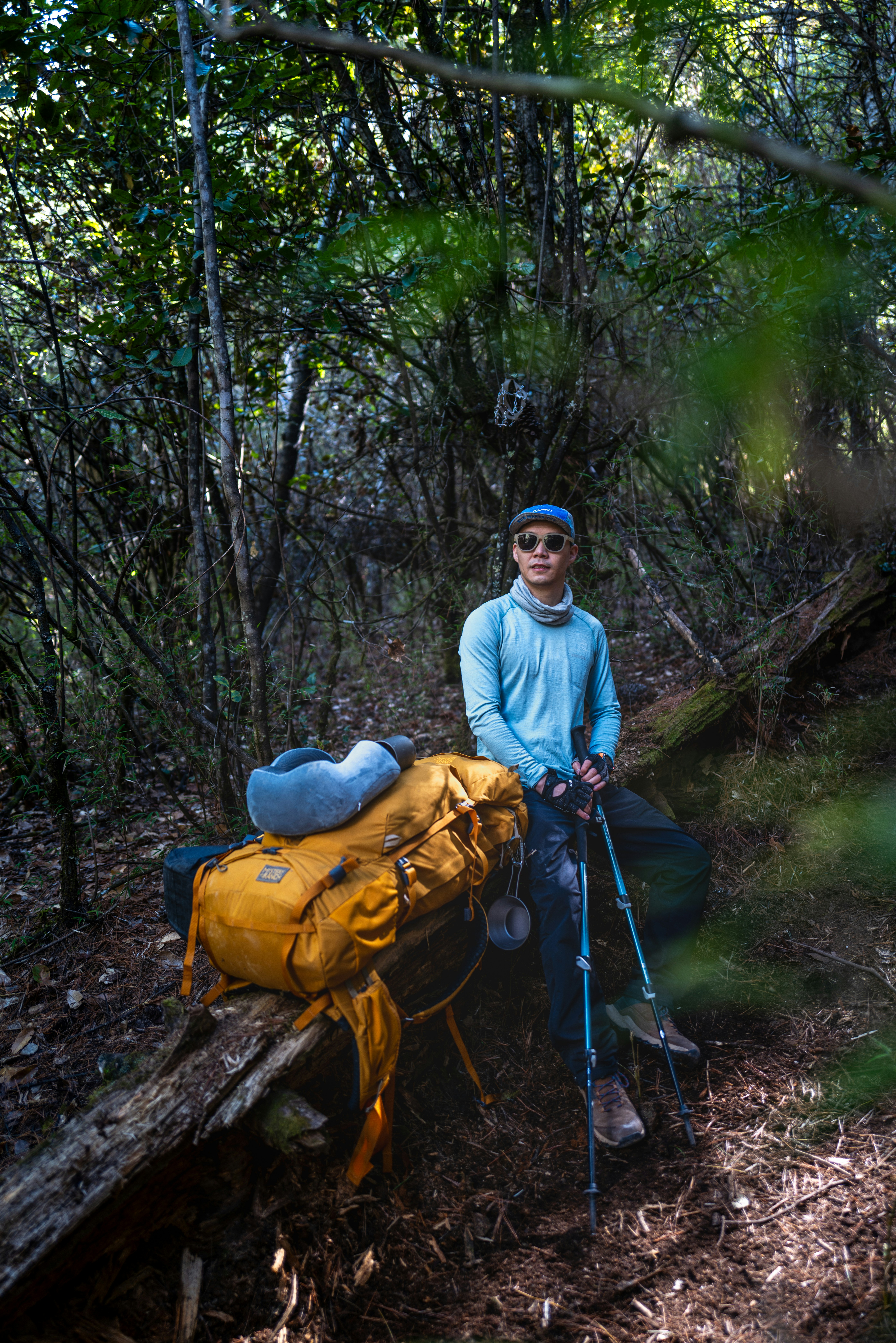 Trailing Ridge, Quiet Gear: A Trekker Pauses with Alpine Pack on the Forest Floor