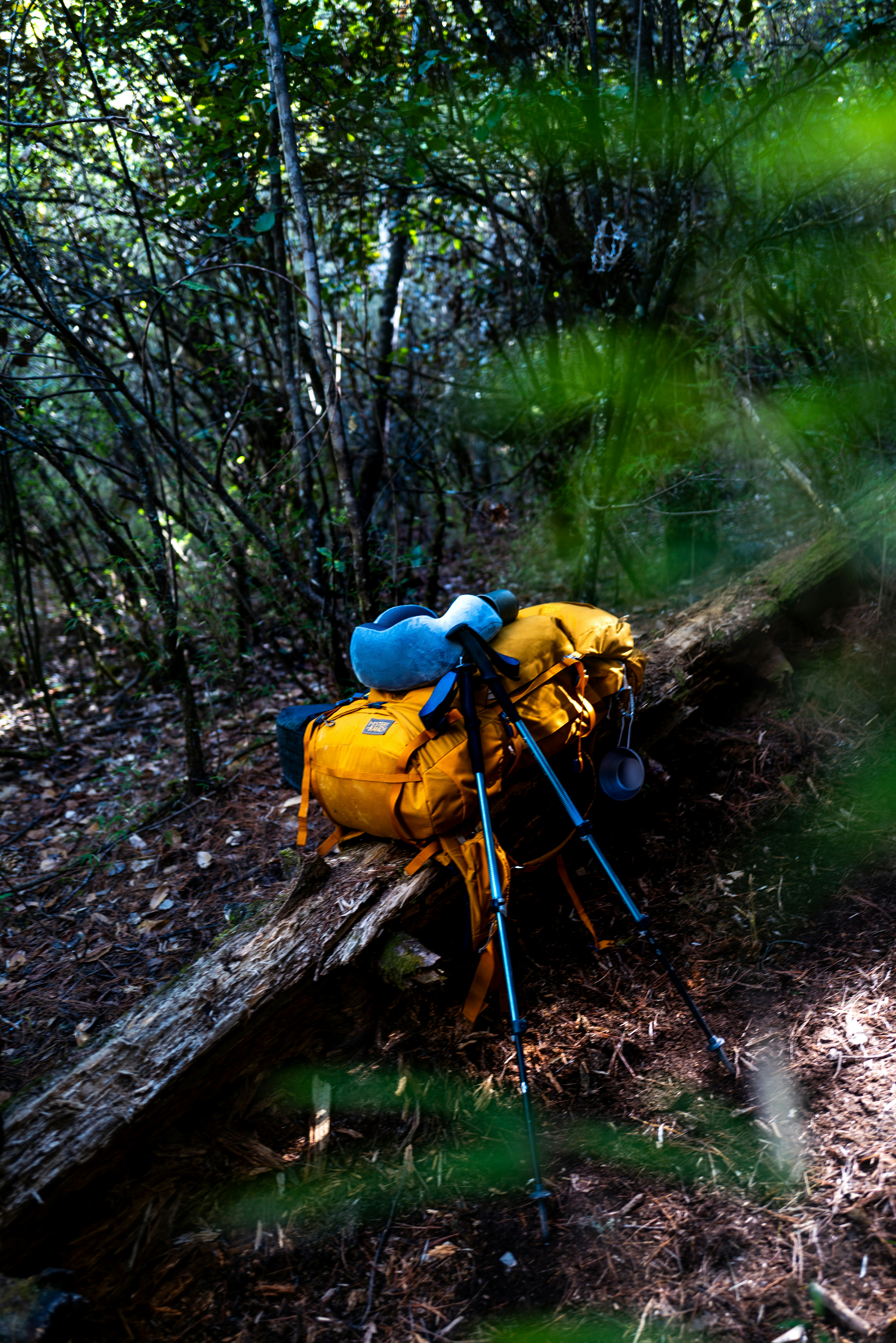 Yellow Pack on a Forest Hill: A Trekker’s Gear Resting in Shade
