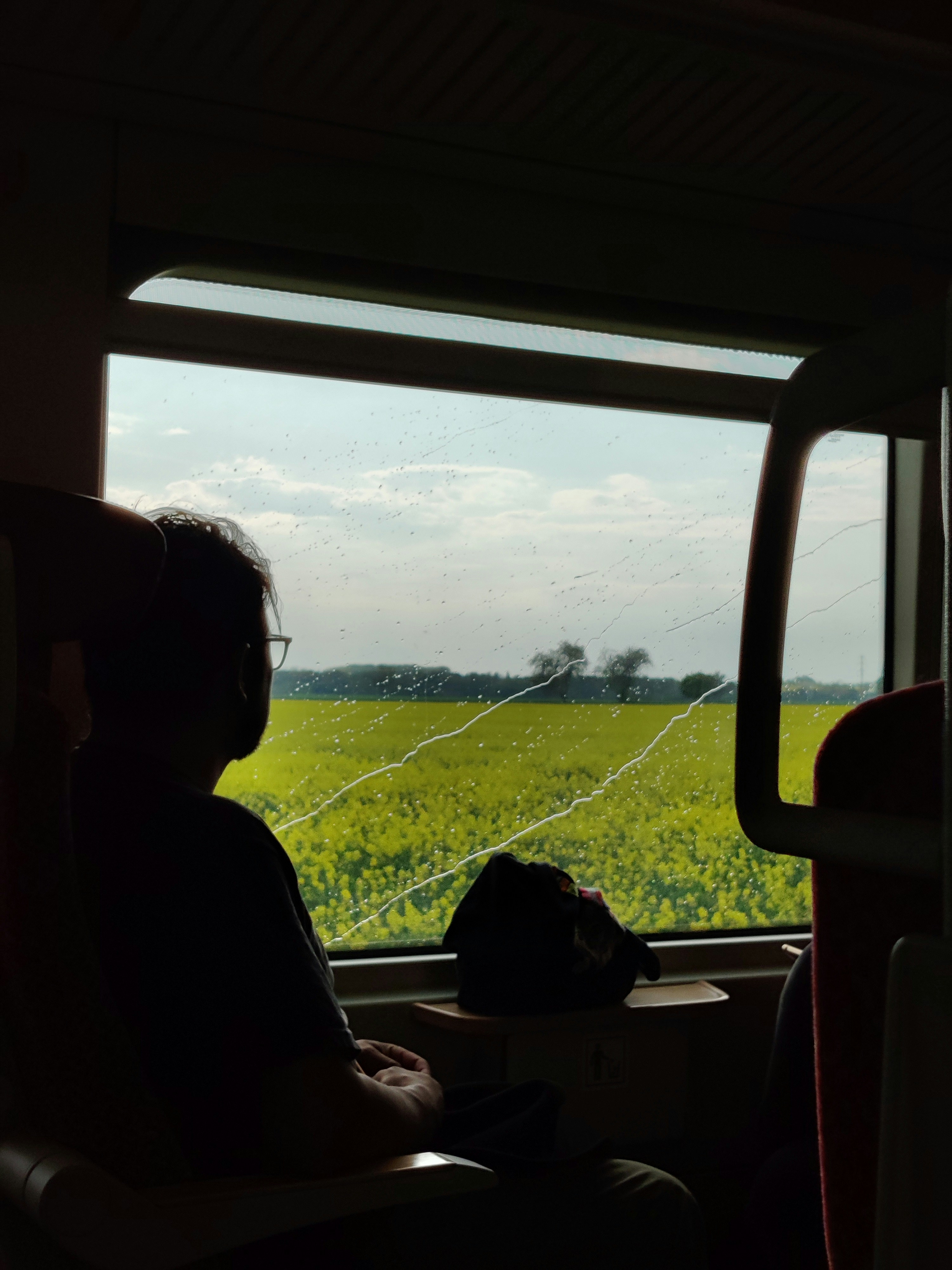 Silhouetted travelers sit inside a train as a sunlit field rolls by outside the window. A stray bag rests on the sill, contrasting with the bright landscape beyond the glass.