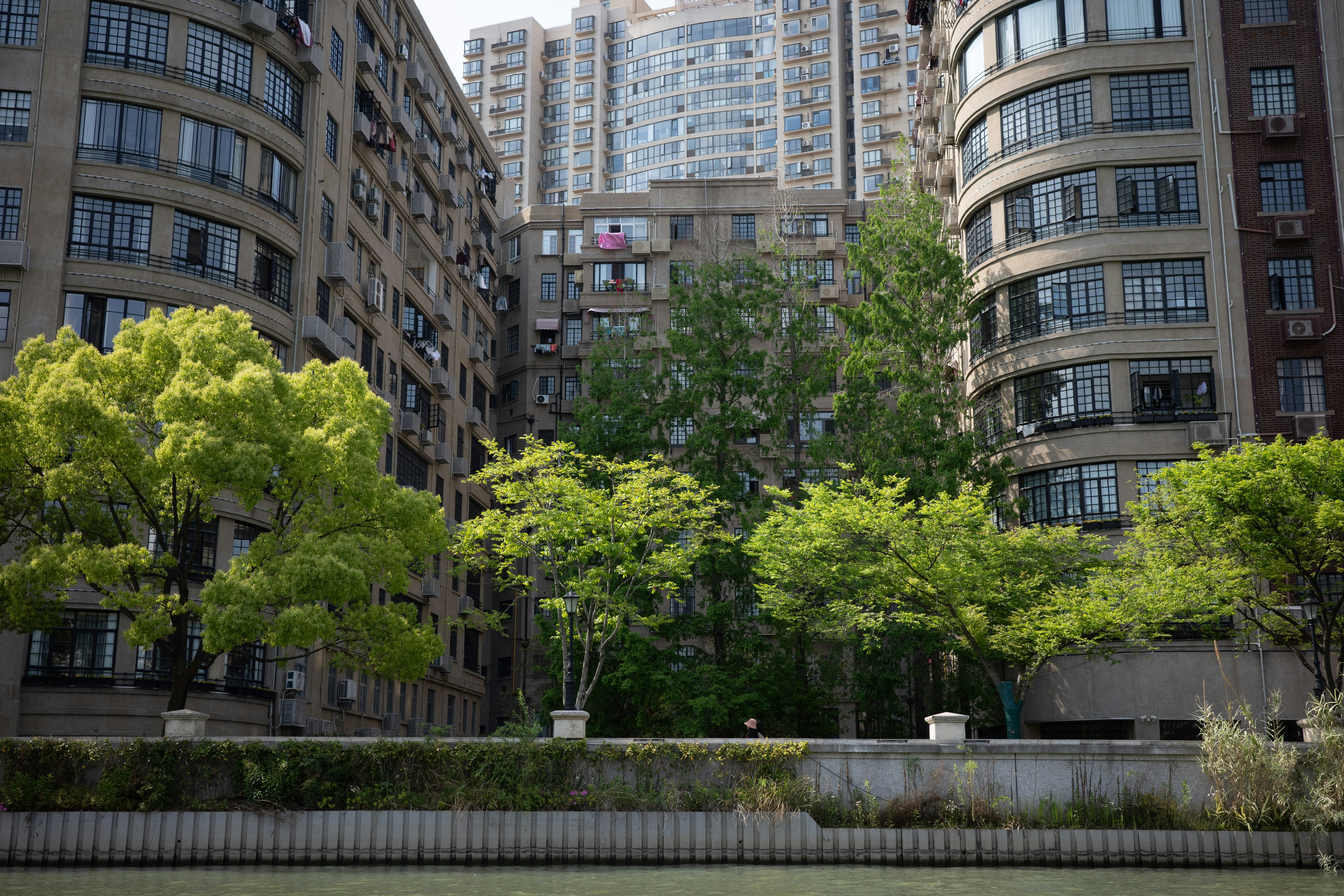 Urban Oasis: Trees Framing an Architecture Playground