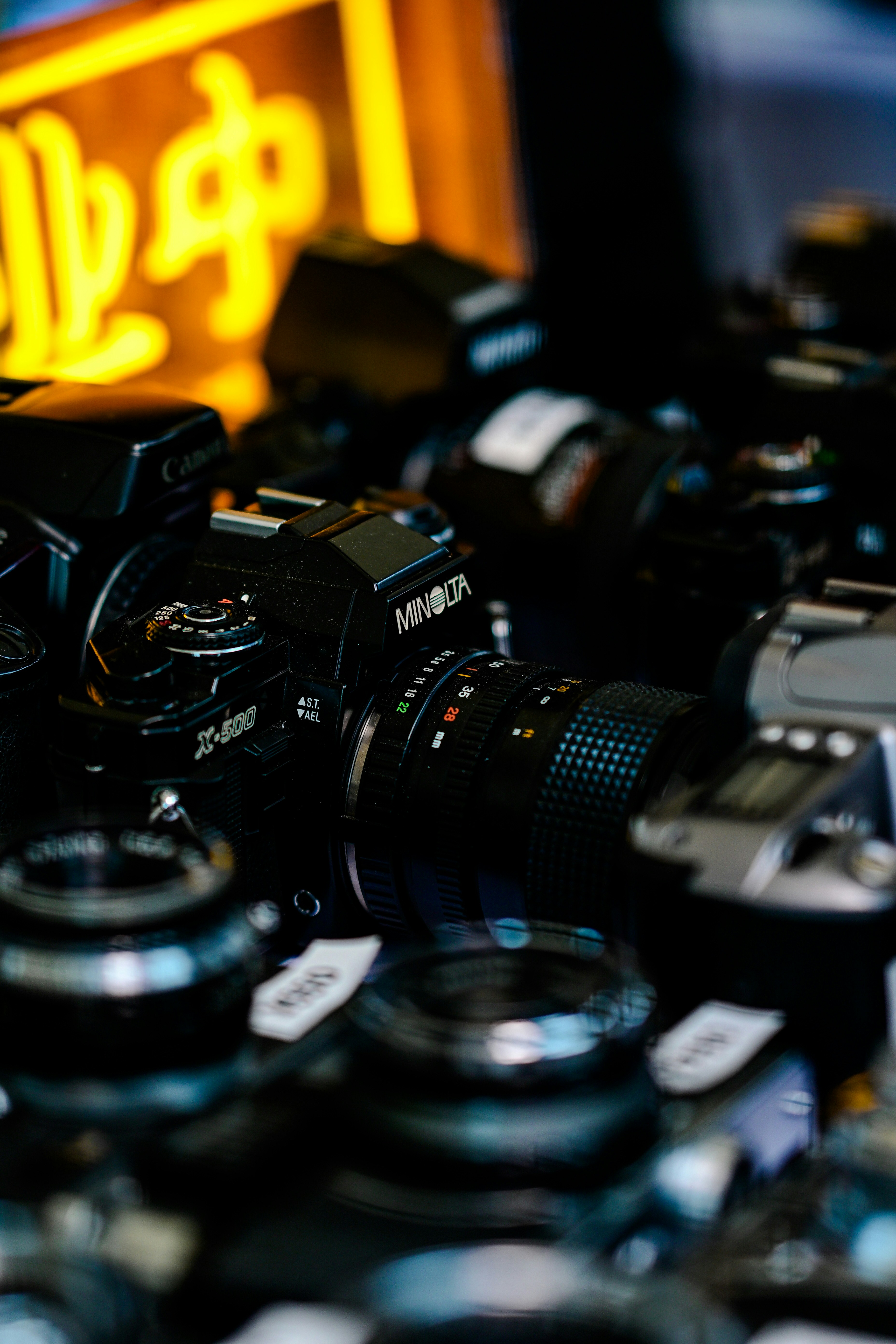 A cabinet of classic optics: vintage cameras nestled in neon glow