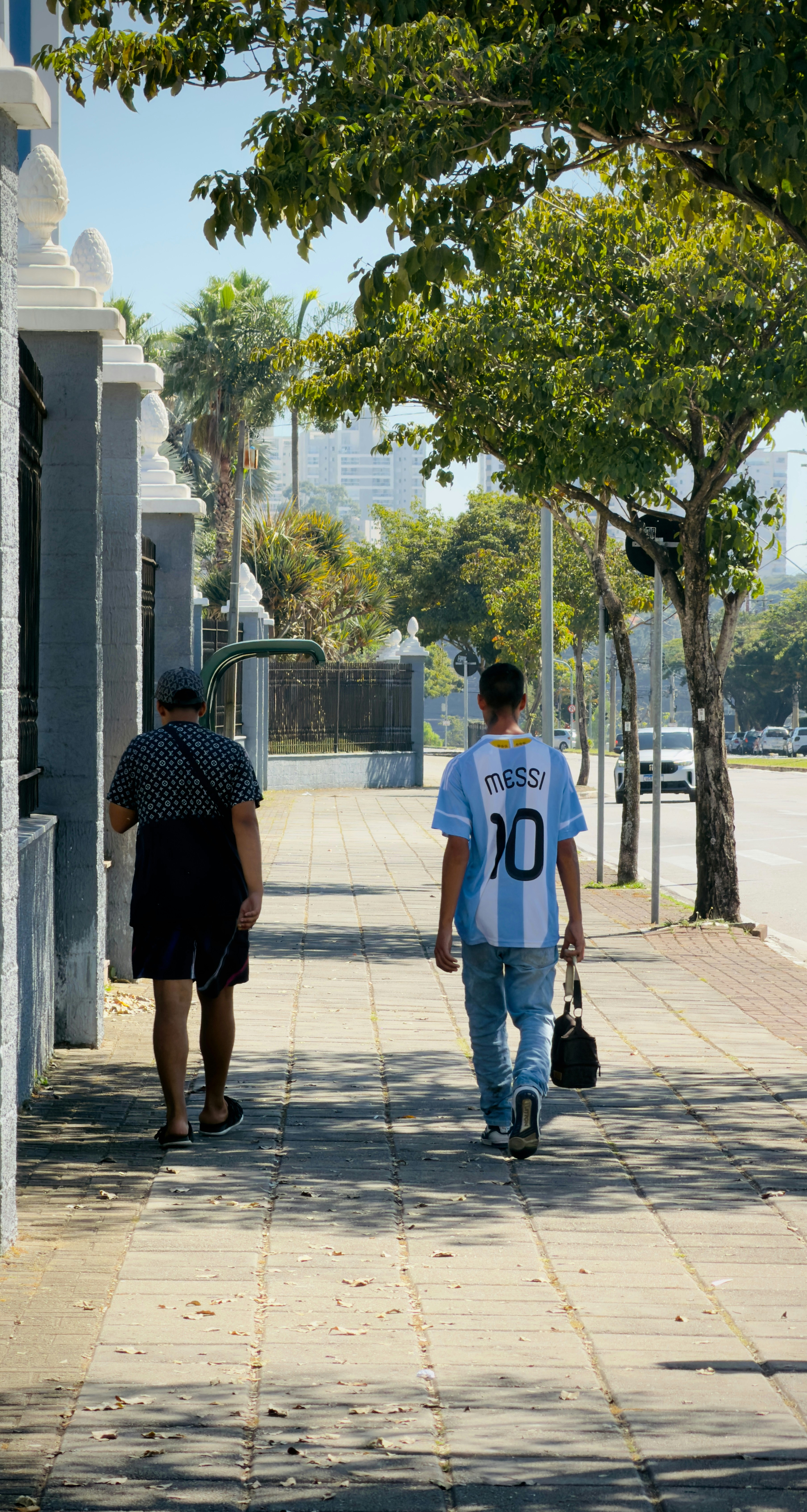 Two Walkers Under the Canopy: Urban Pathway Scene