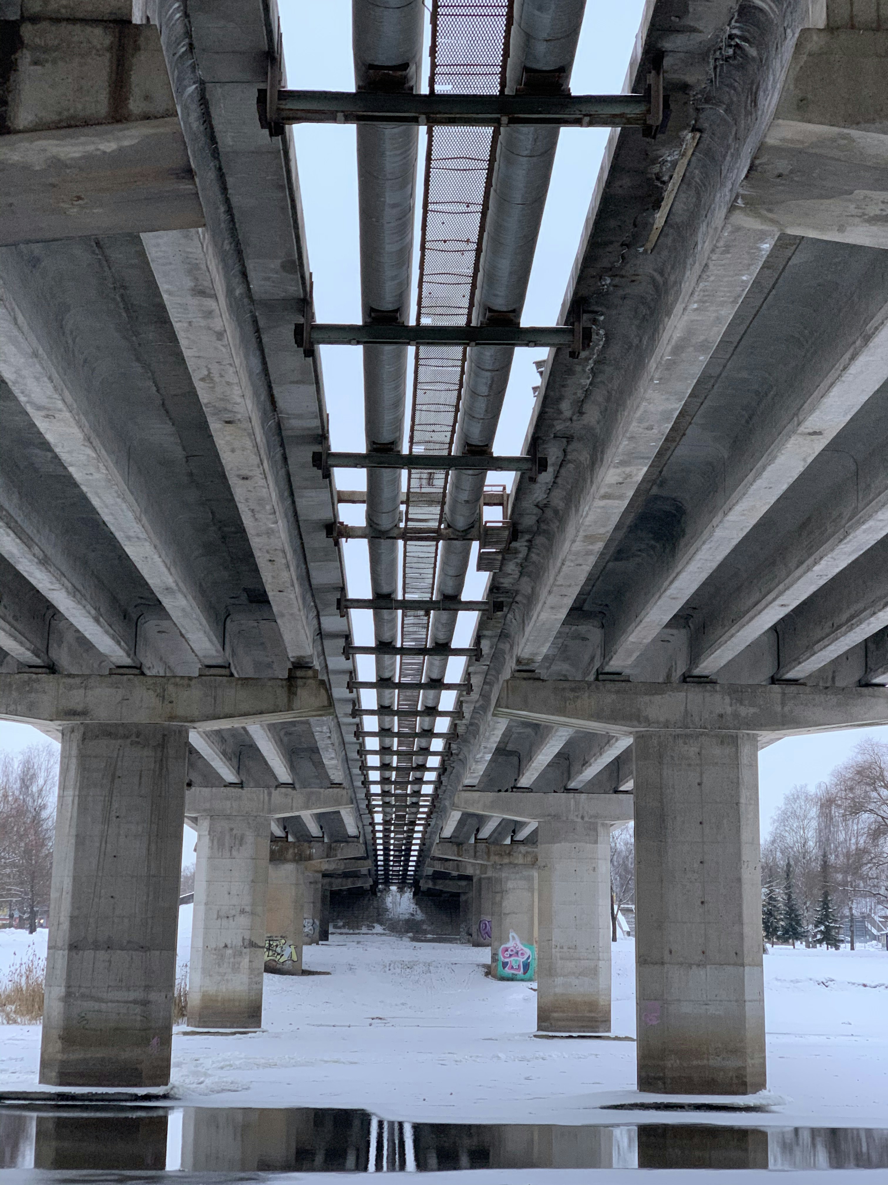 Underbelly of Steel: A Winter Walk Beneath Concrete Beams