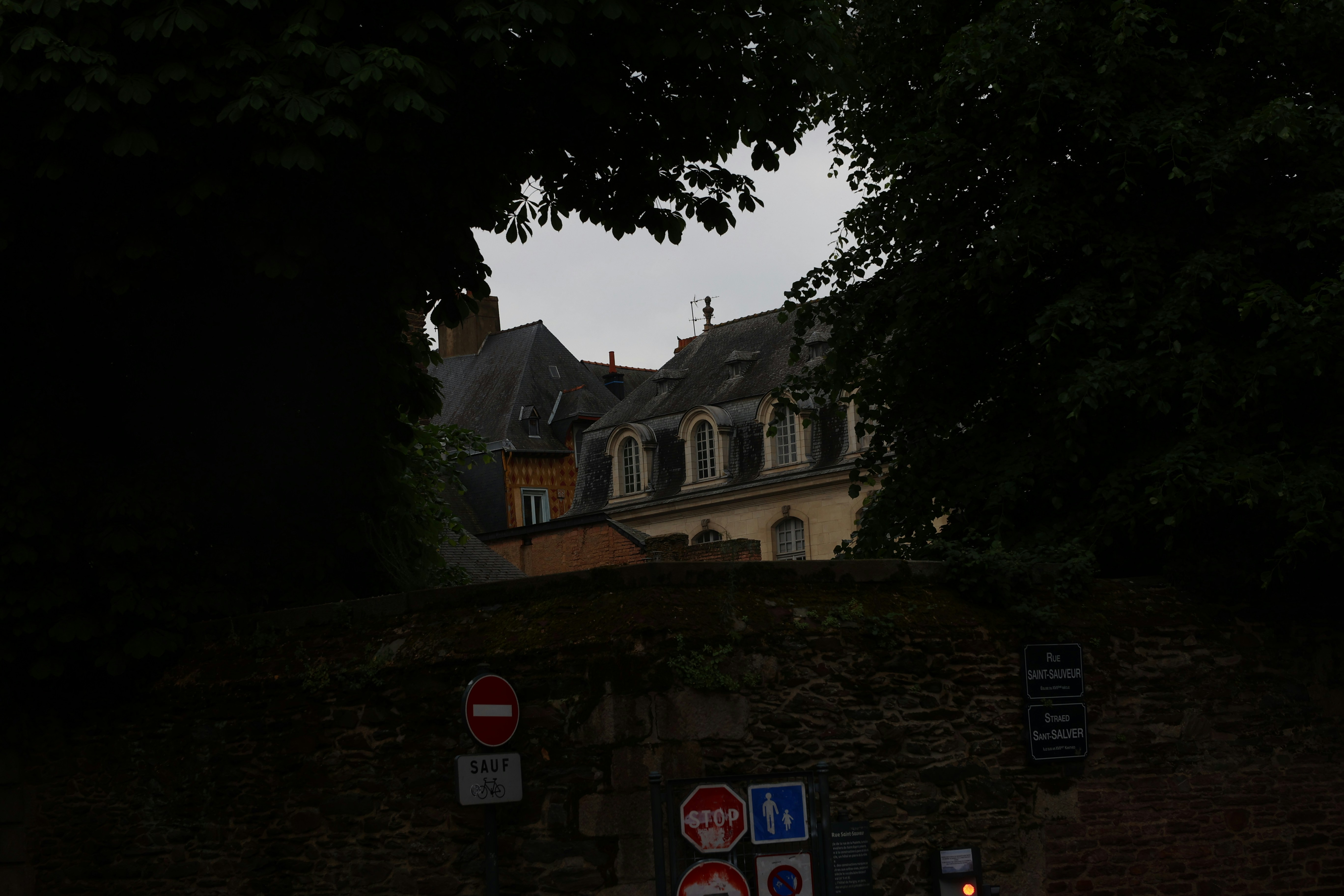 Hidden Manor Through a Shadowed Gate