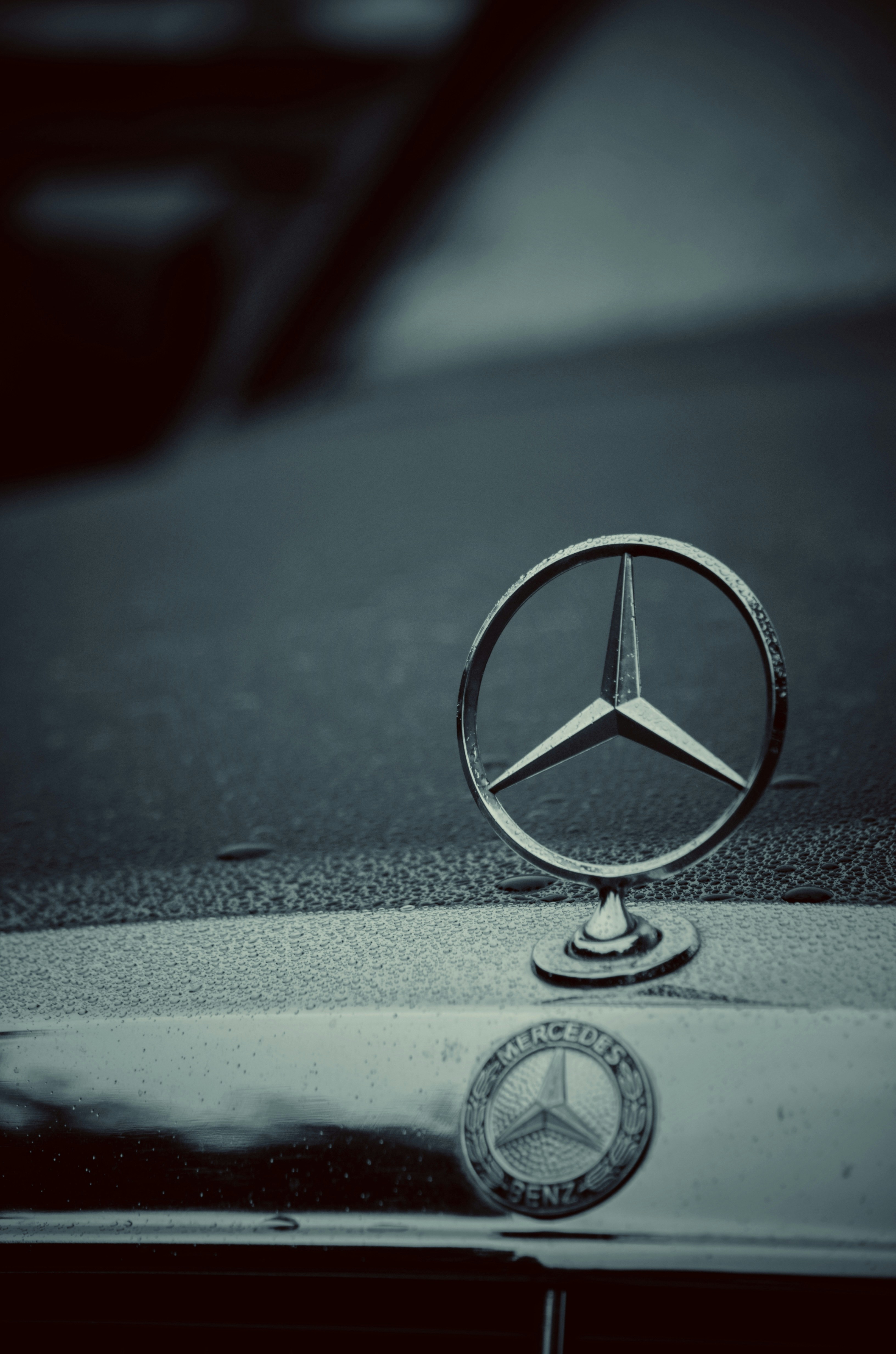 Emblem in Focus: A Close-Up of Mercedes Heritage