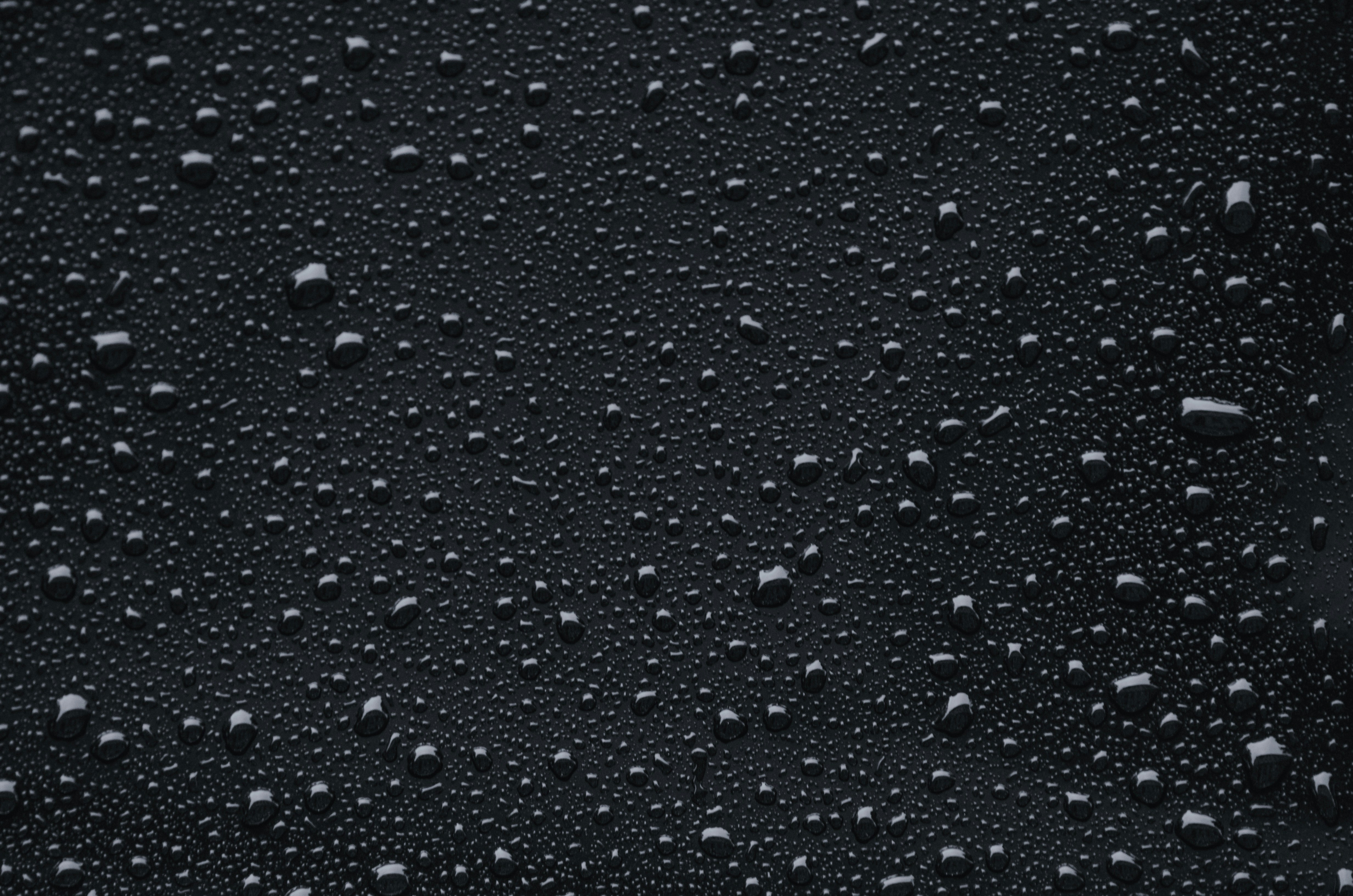 Midnight Velvet: Dewdrops on a Matte Surface