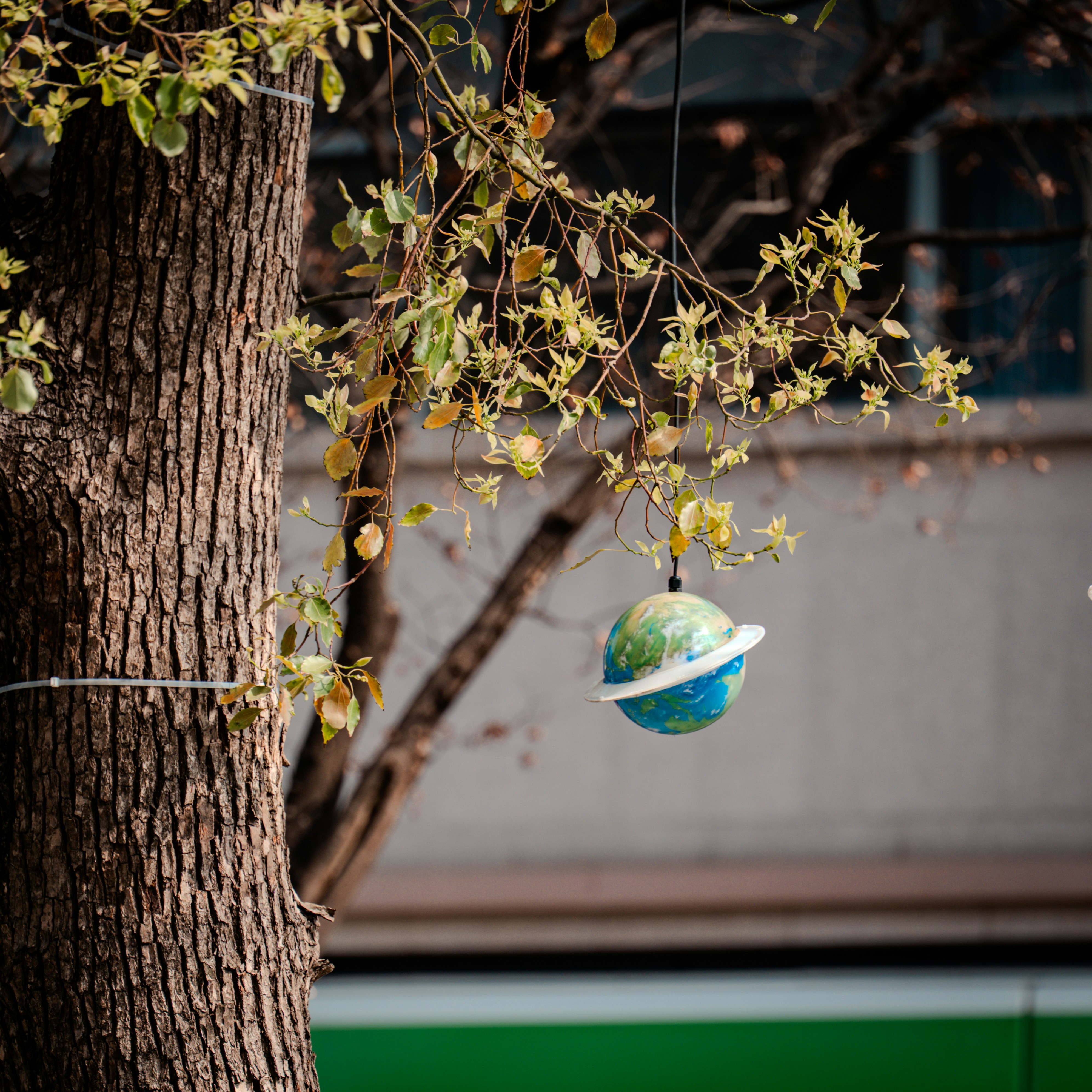 Floating Globe: A Tiny Planet Dangles from Autumn Branches
