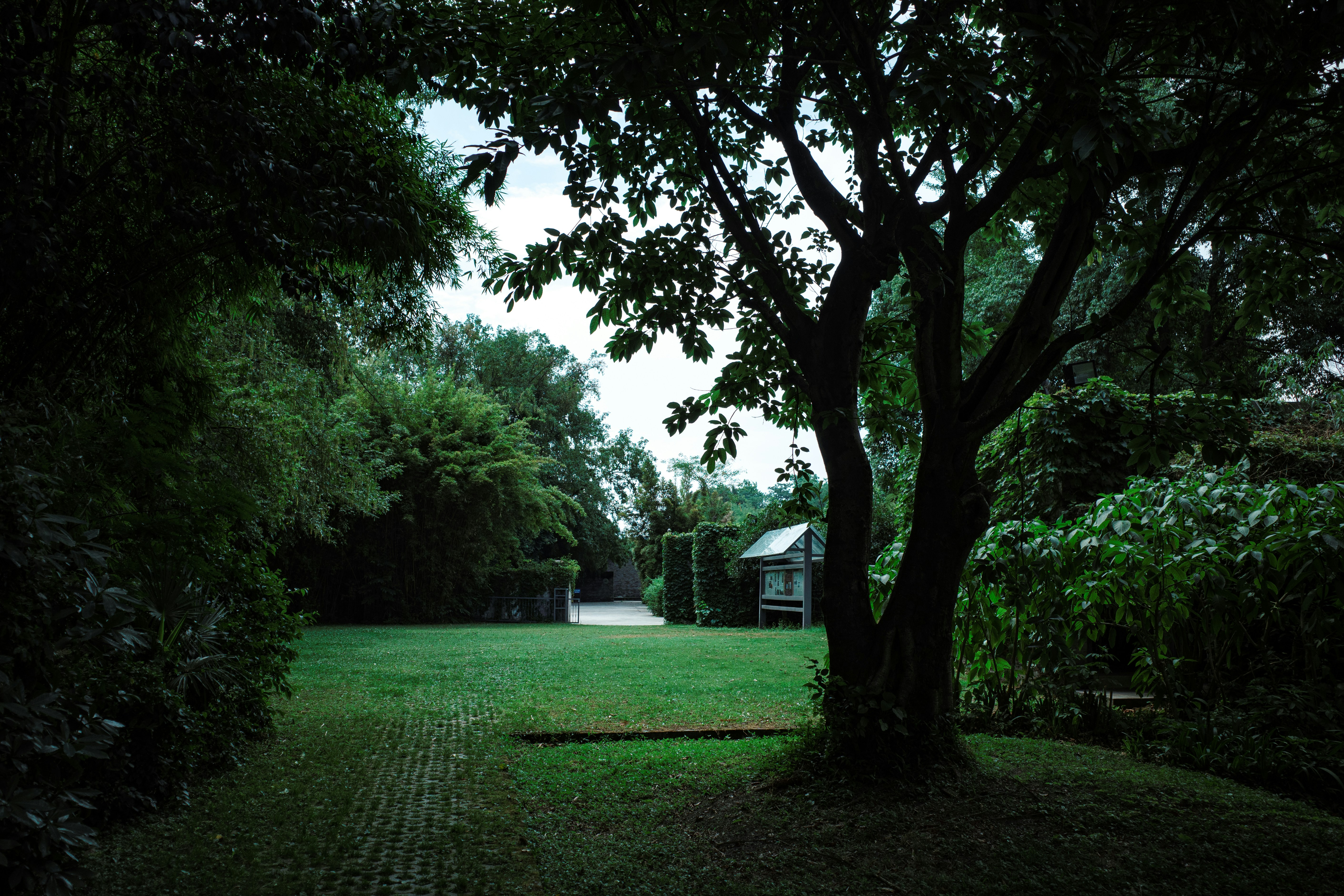 Quiet Path to the Orchard Gate