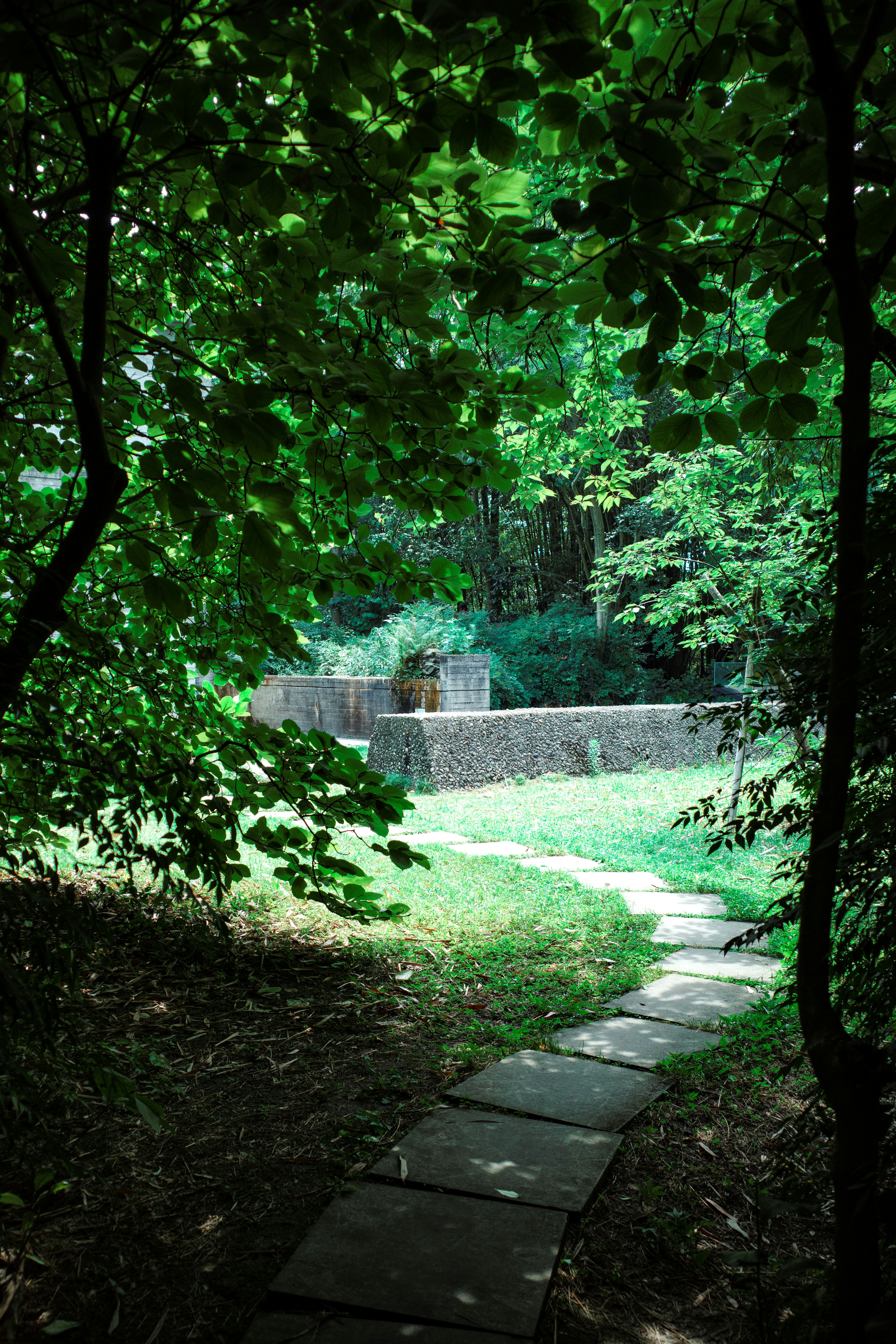 Hidden Garden Path: Sunlit Stones Amid Green Canopy