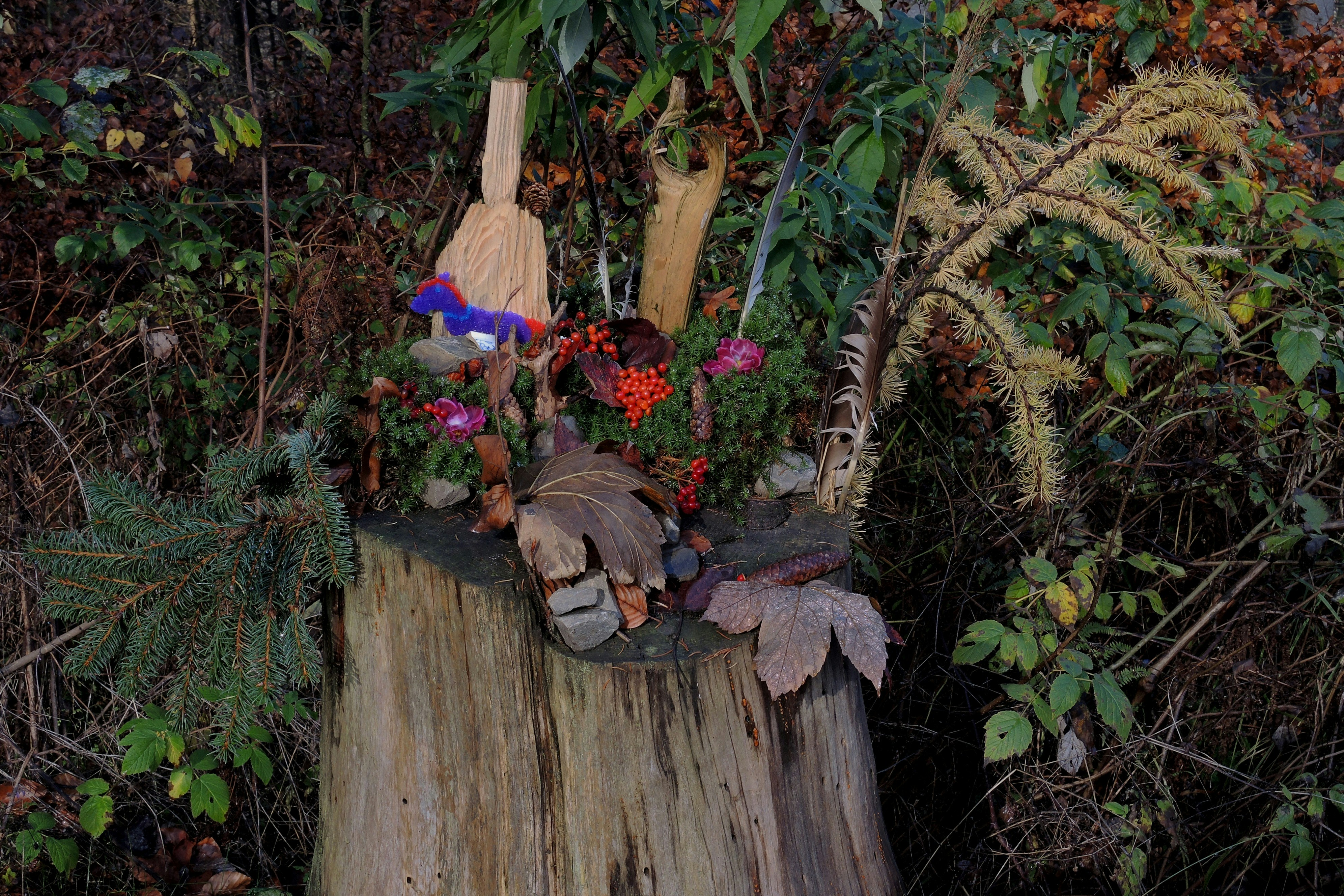 A Weathered Stump Bouquet: Leaves, Ferns, and Floral Remnants on a Cut Tree Trunk