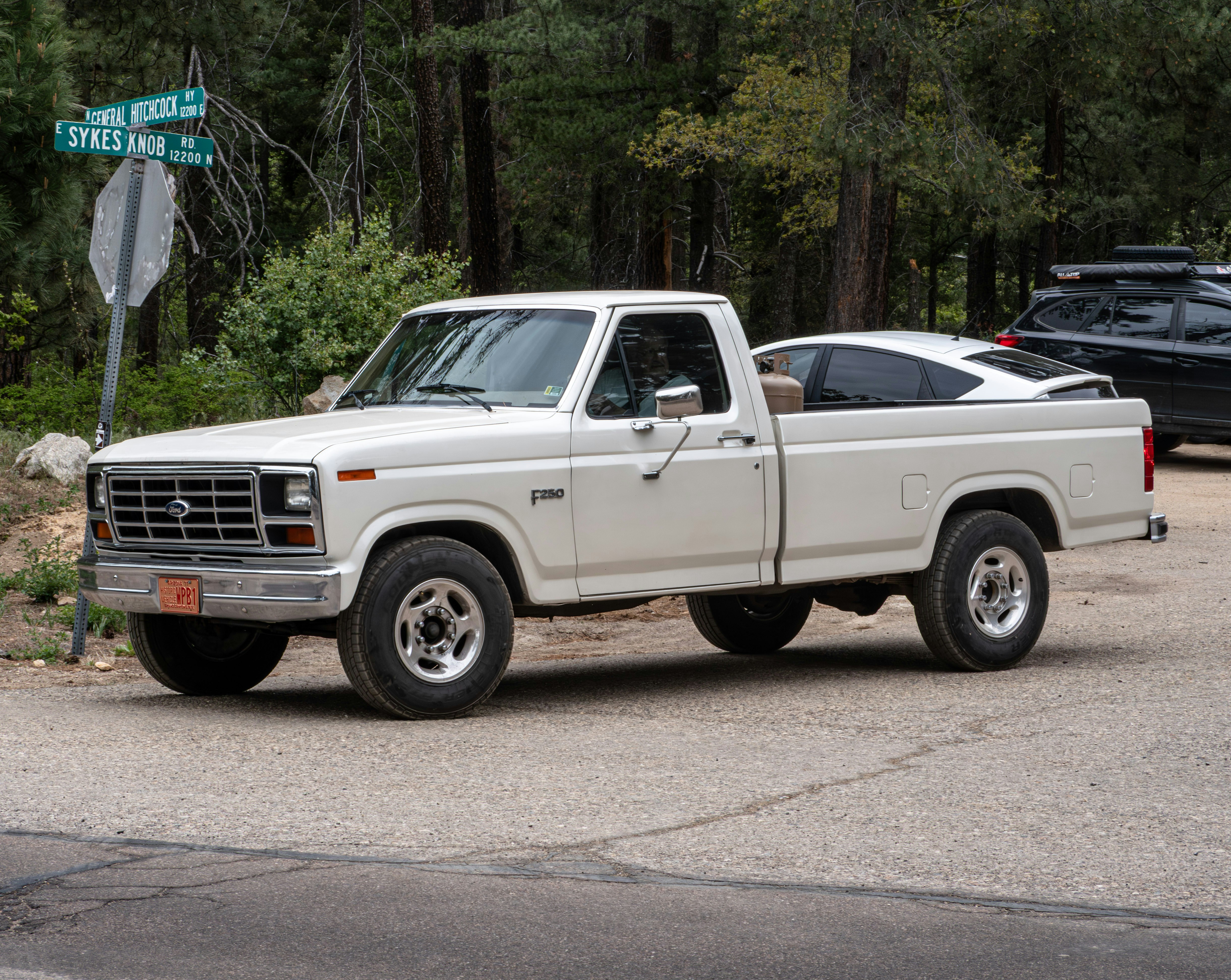 White Ford F-150 Tandem: A Quiet Pickup Resting Under Pines