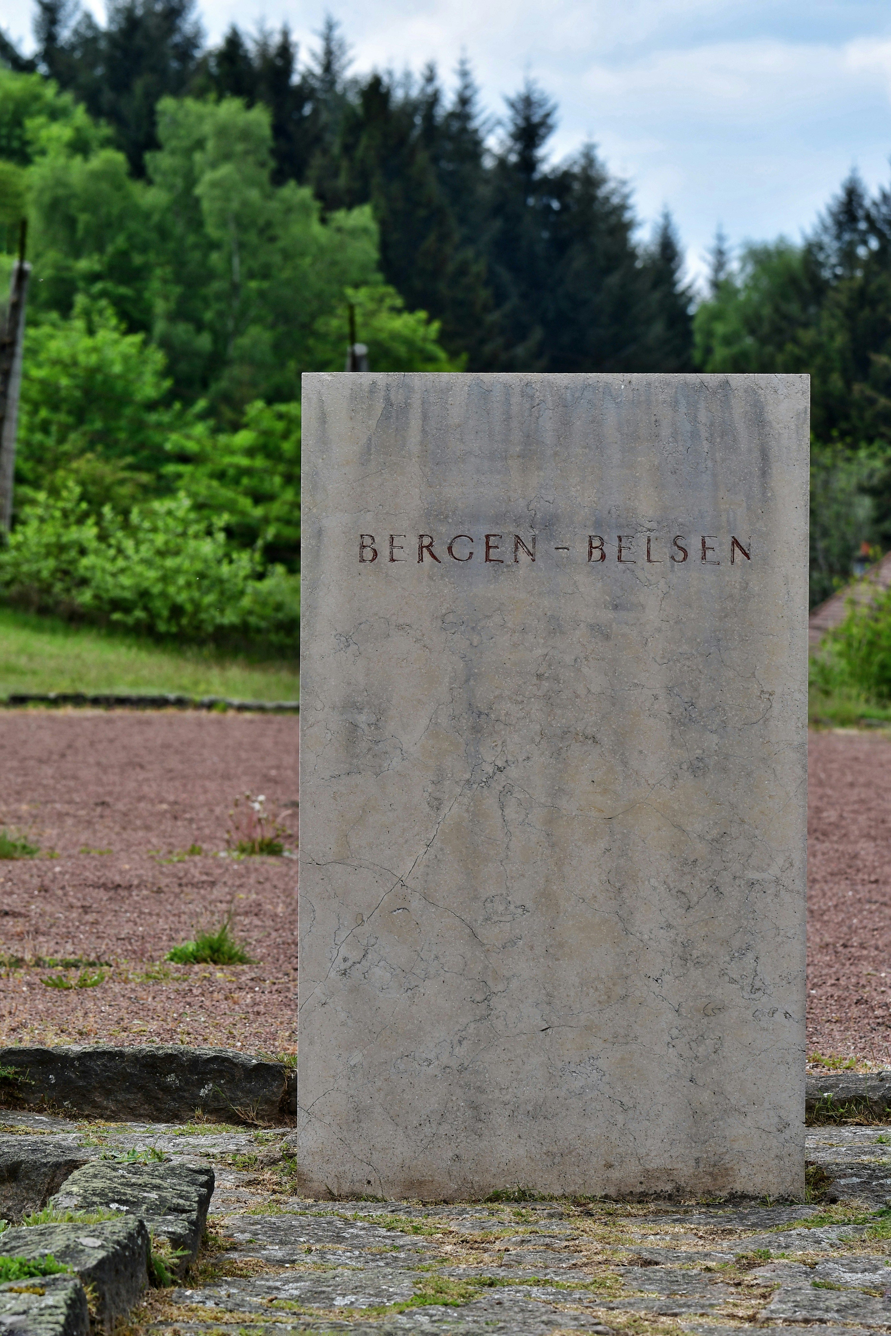 Stone Sentinel: A Monument Amid Green Quiet