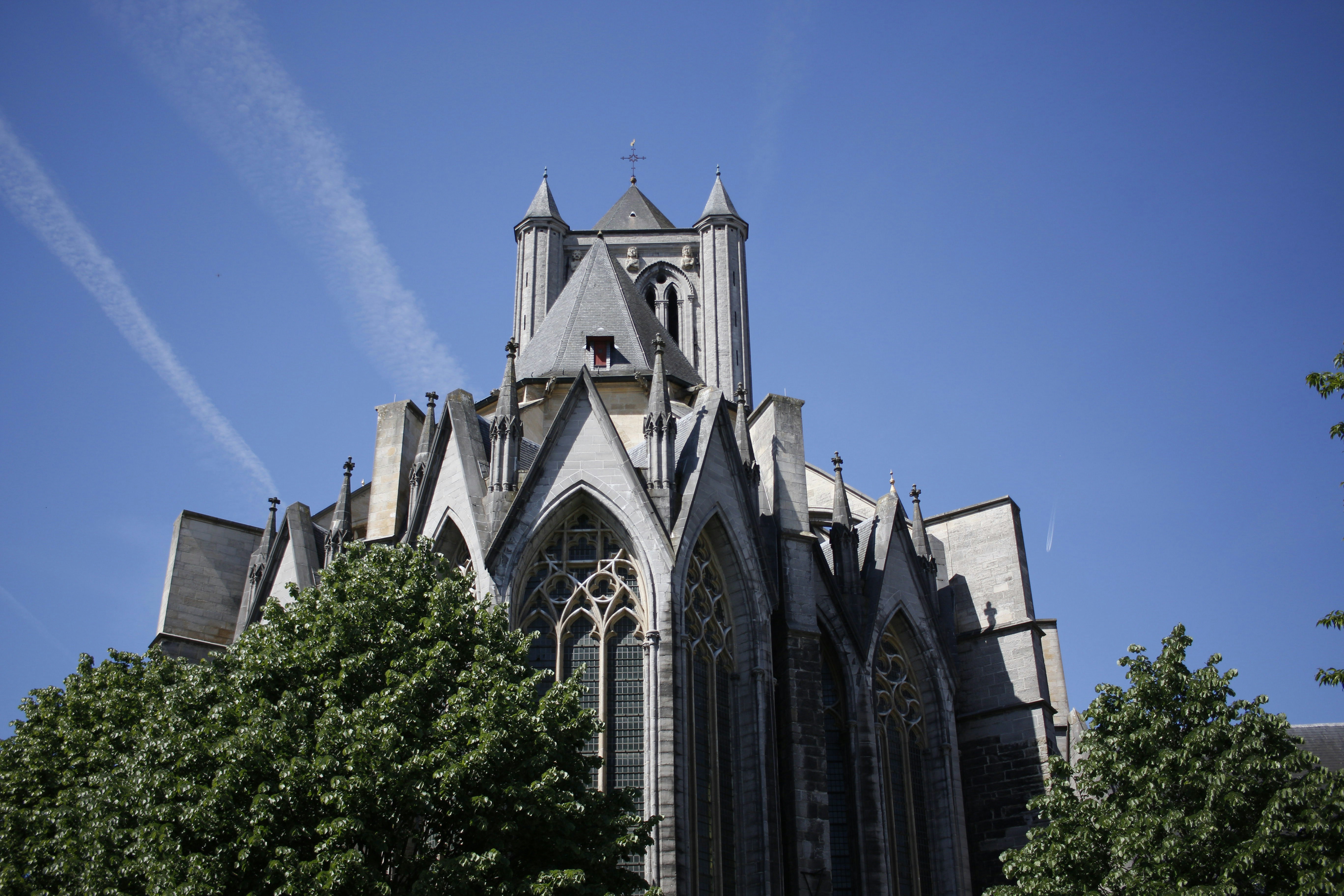Gothic Cathedral Rising above Green Canopy under a Clear Blue Sky