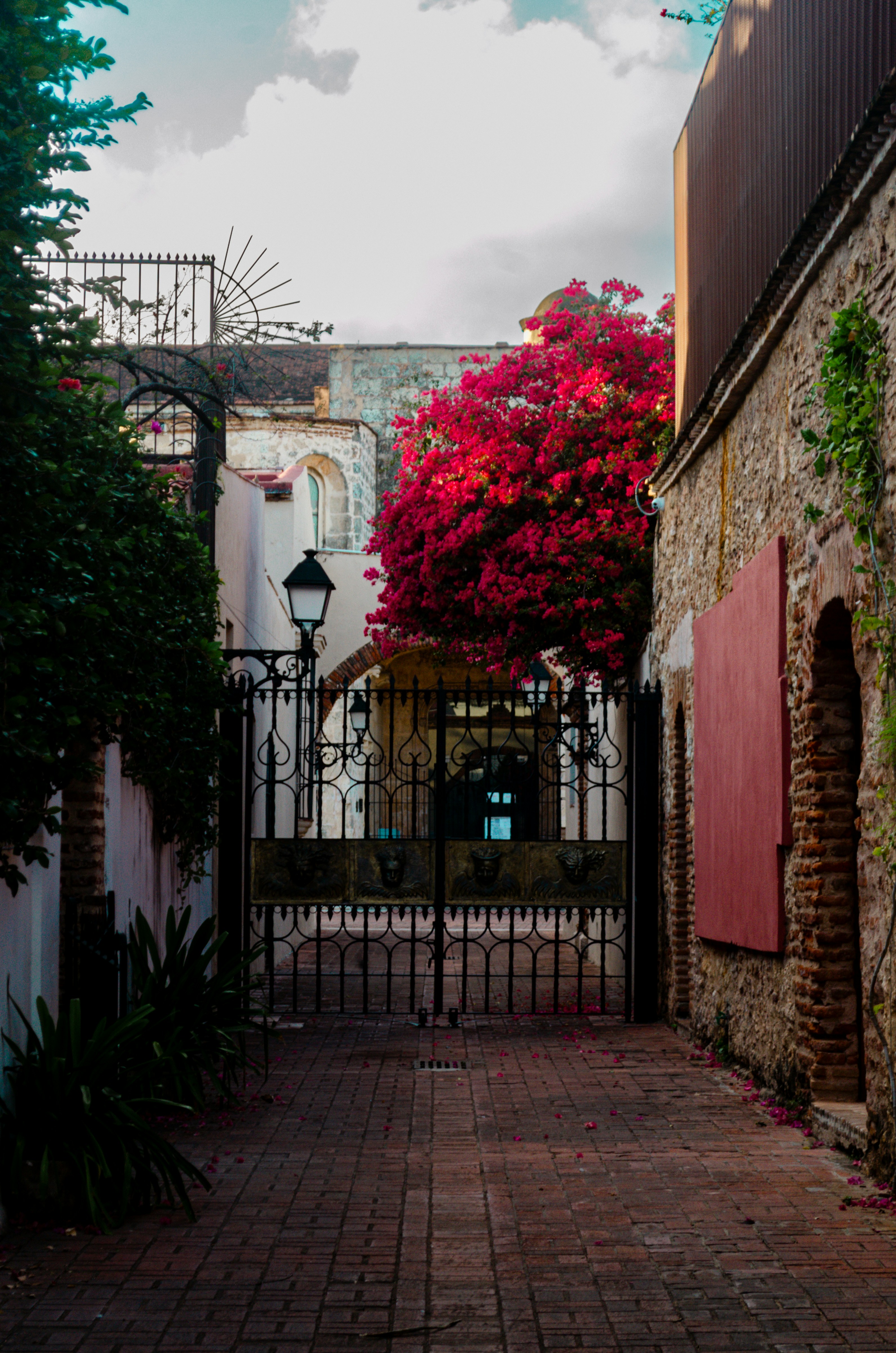 Bloomed Crossroads: A Sunlit Alley Framed by Wrought Iron and Bougainvillea