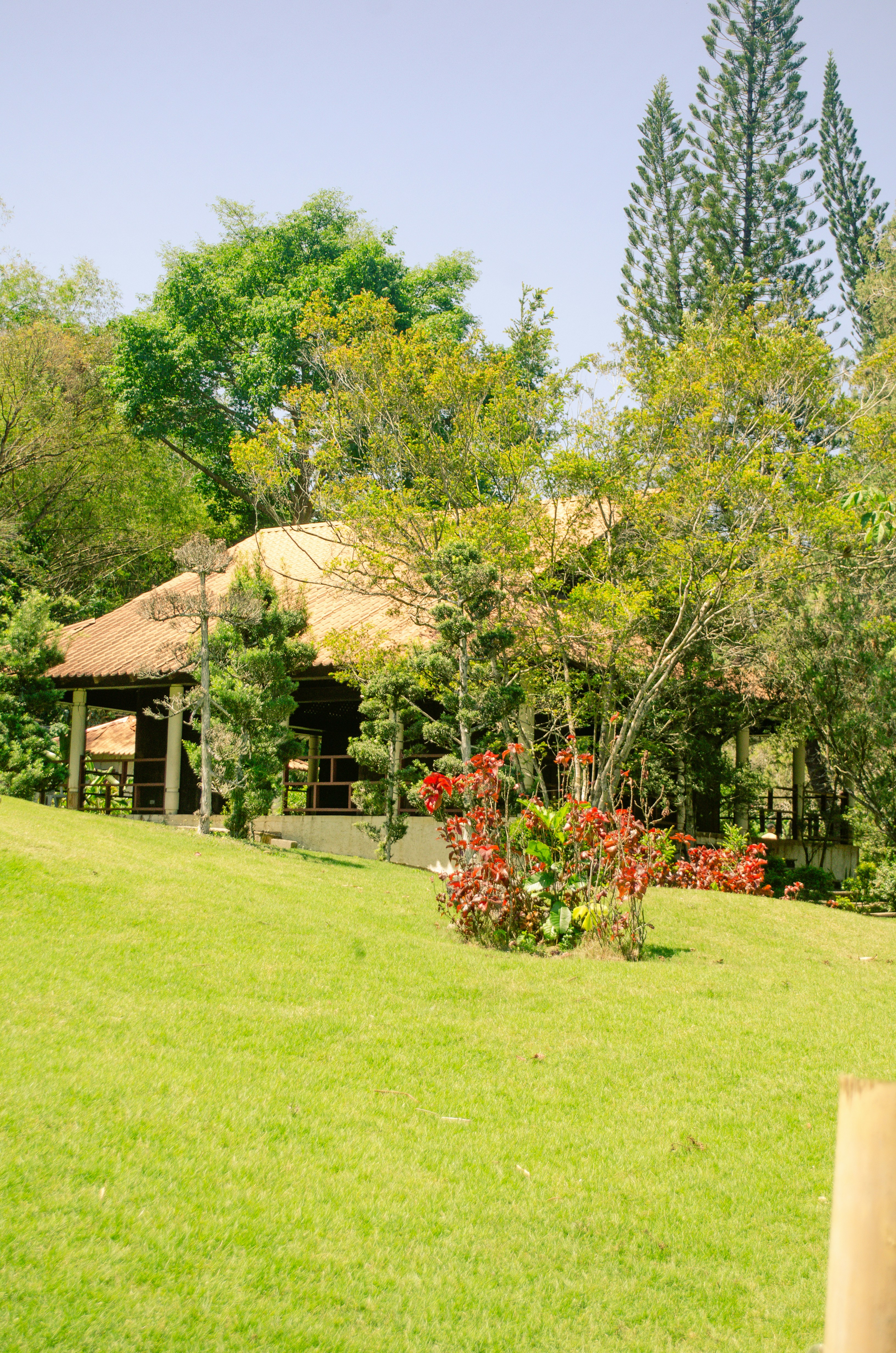 Thatched Lodge Quietly Nestled Under Spring Canopy