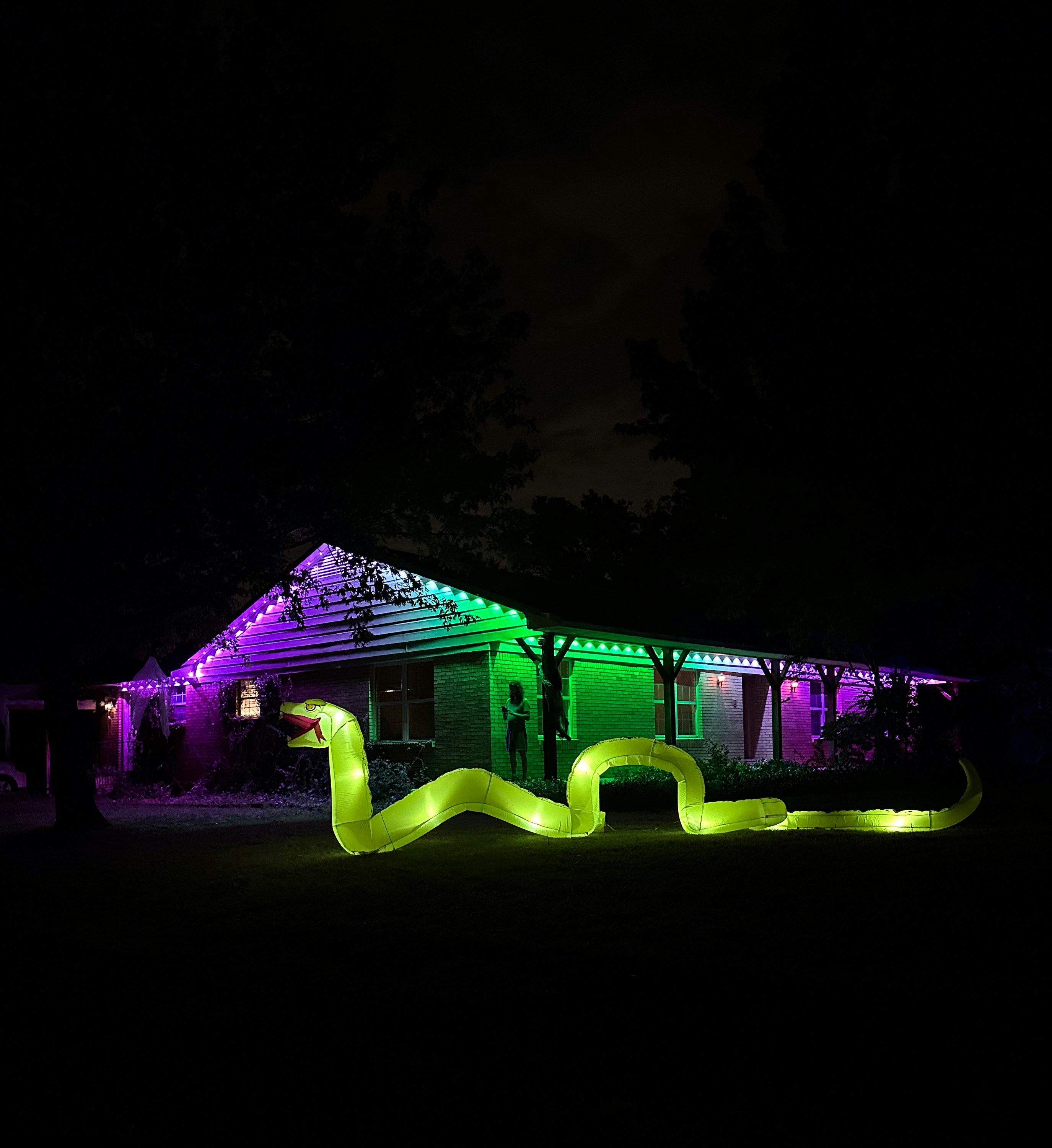 Neon Serpent Looming Over a Quiet Night House