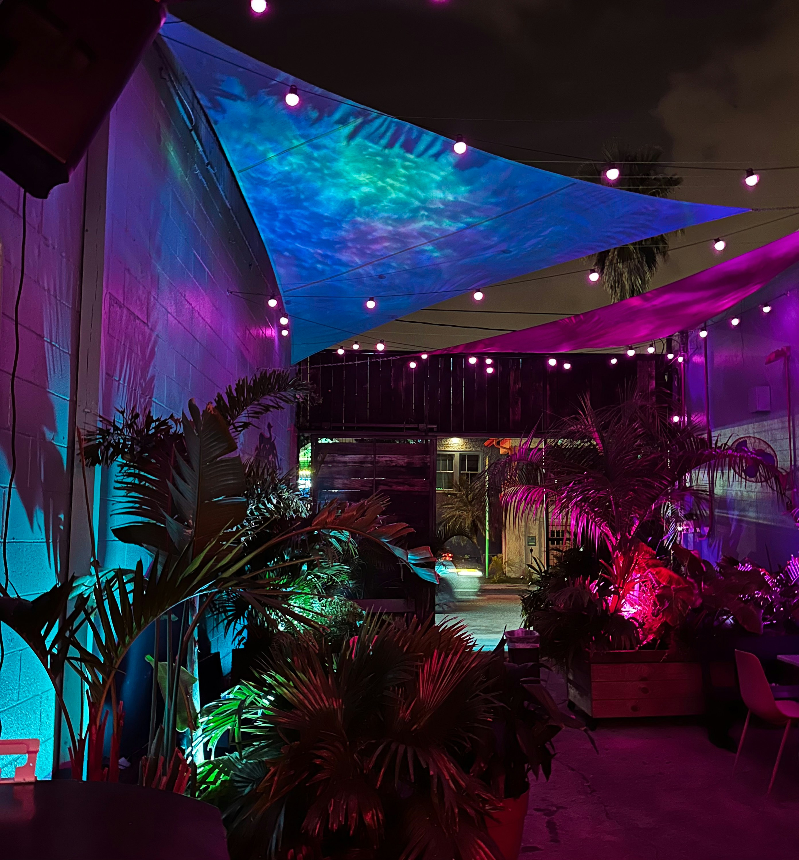Neon Oasis under a Canopy of Night