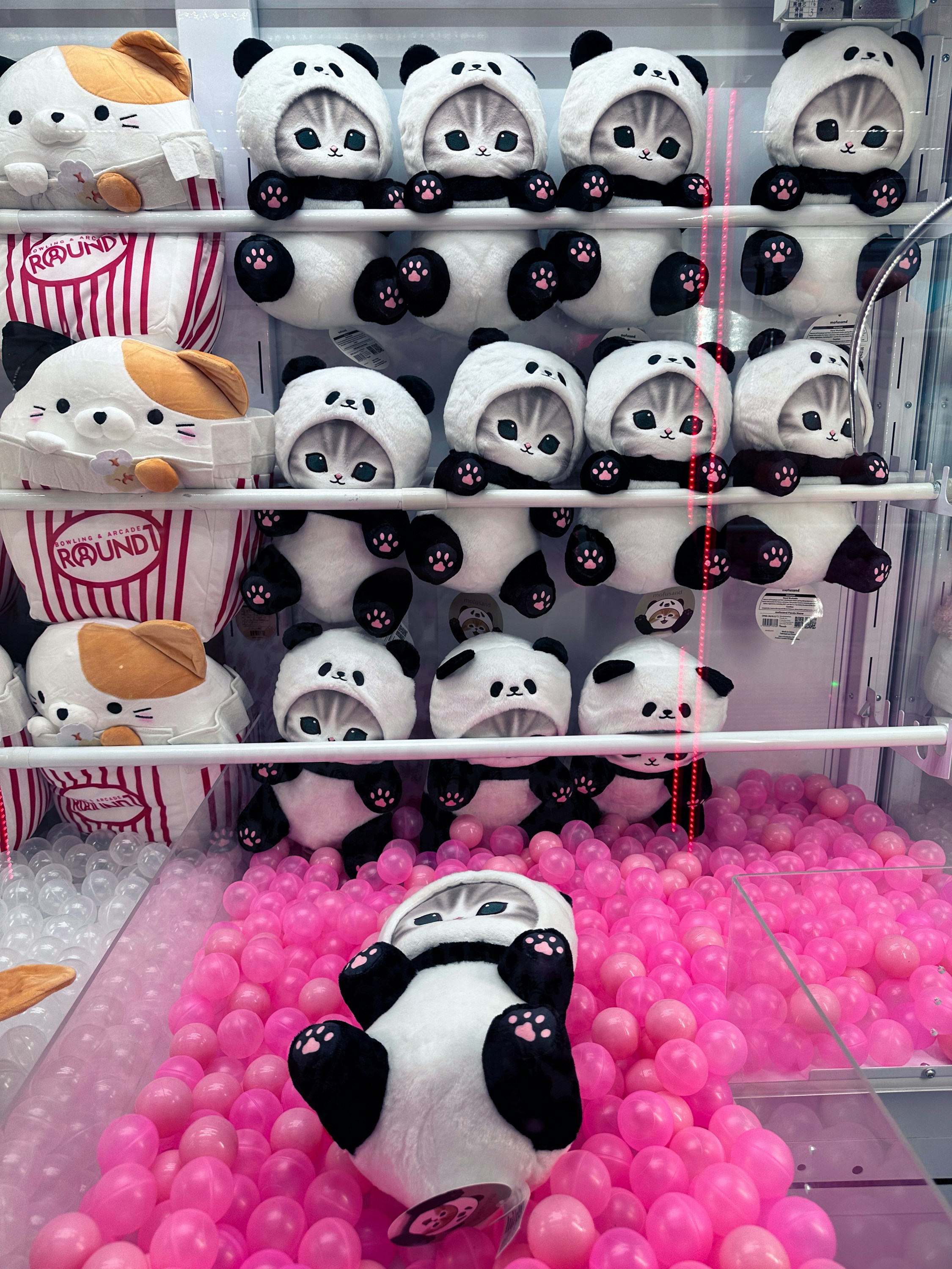 Row of Plush Panda Hats Above a Plush Panda in a Pink Ball Pit