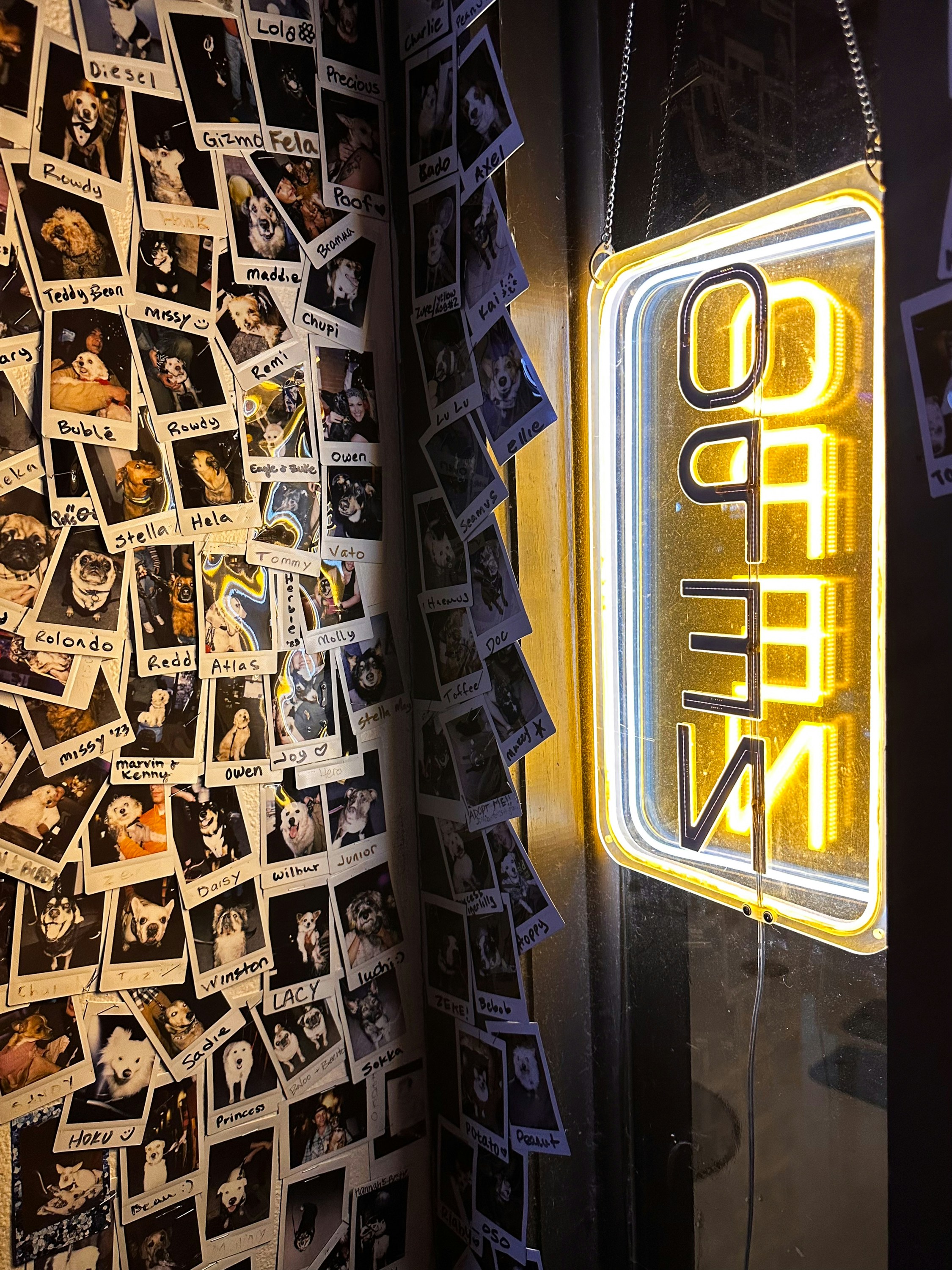 Neon Sign, Polaroid Wall: A Corridor of Echoes
