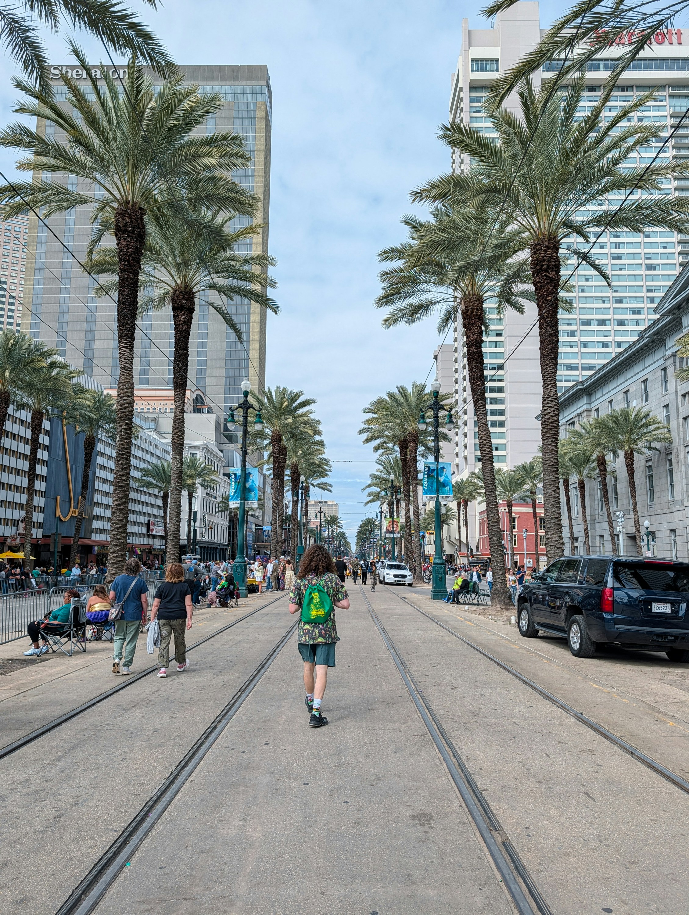 Pedestrian Boulevard Under Palm Avenues