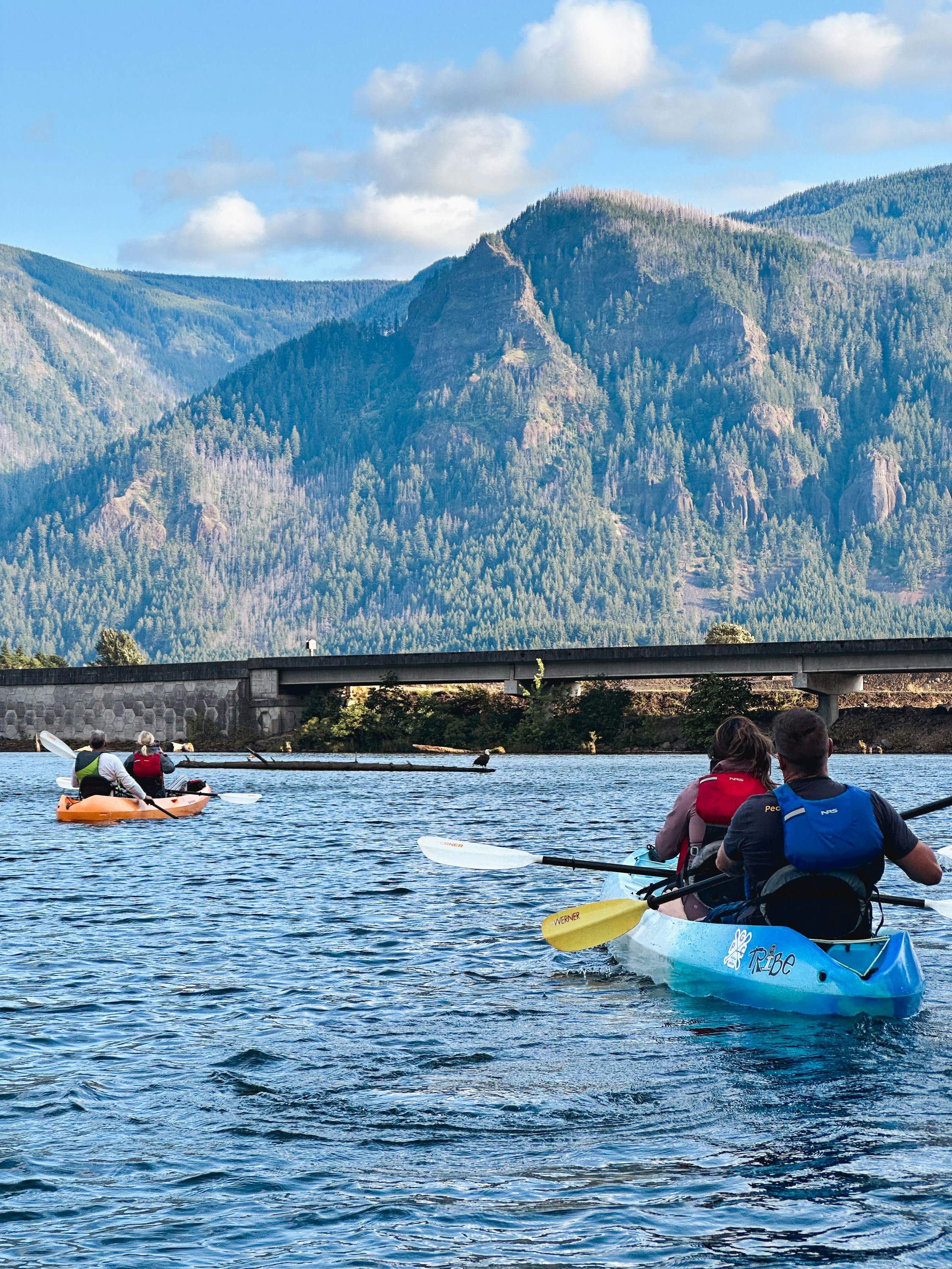 Kayakers Converge beneath a Mountainous Backdrop
