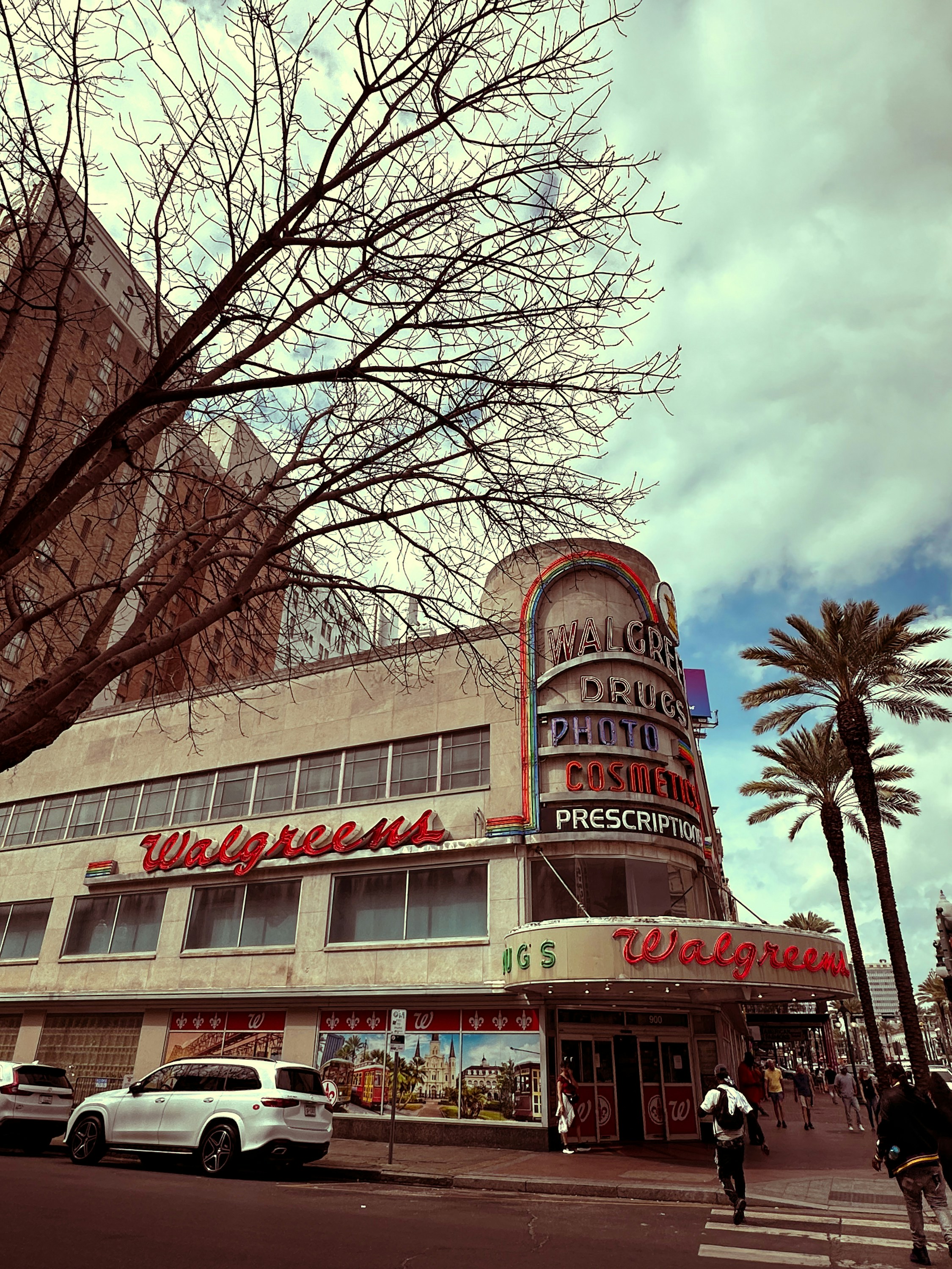Neon Walgreens Signage and Deco Tower Framed by Palm Shadow