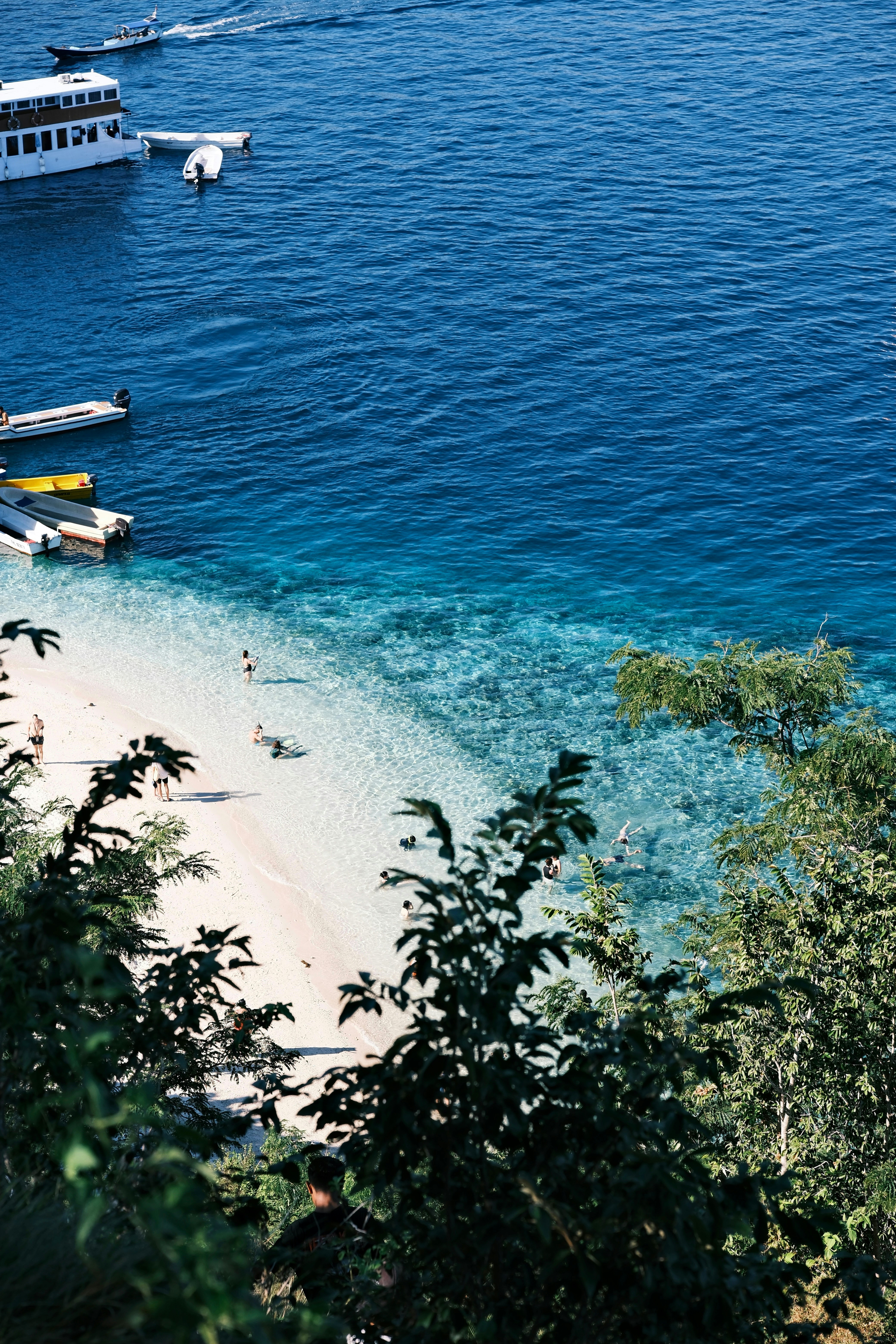 Turquoise Shoreline: Boats, Beach, and Verdant Fronds