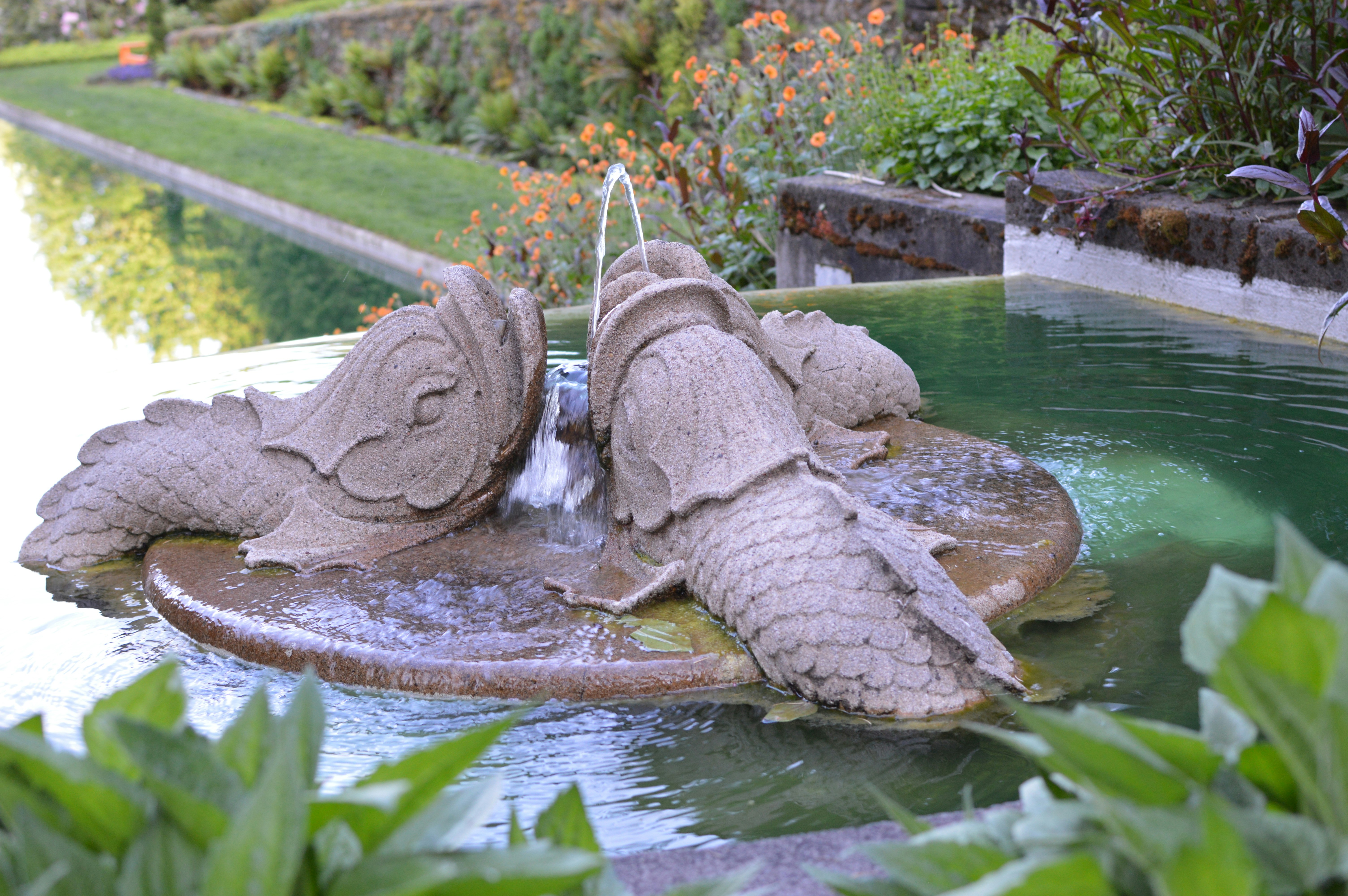 Carved Dragon Heads Spouting Water in a Garden Fountain