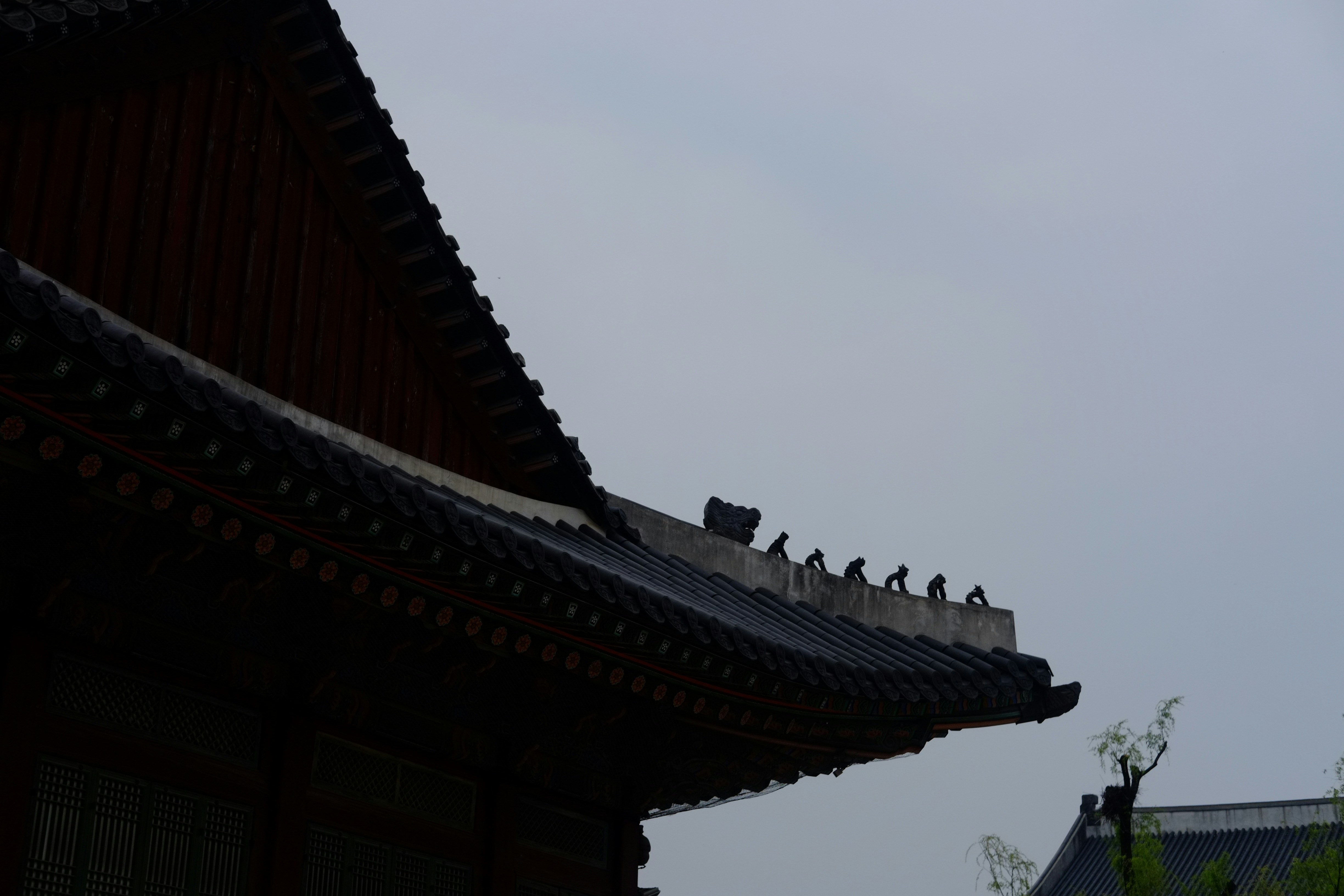 Soaring Rooftop Line: Birds Along the Temple Eave