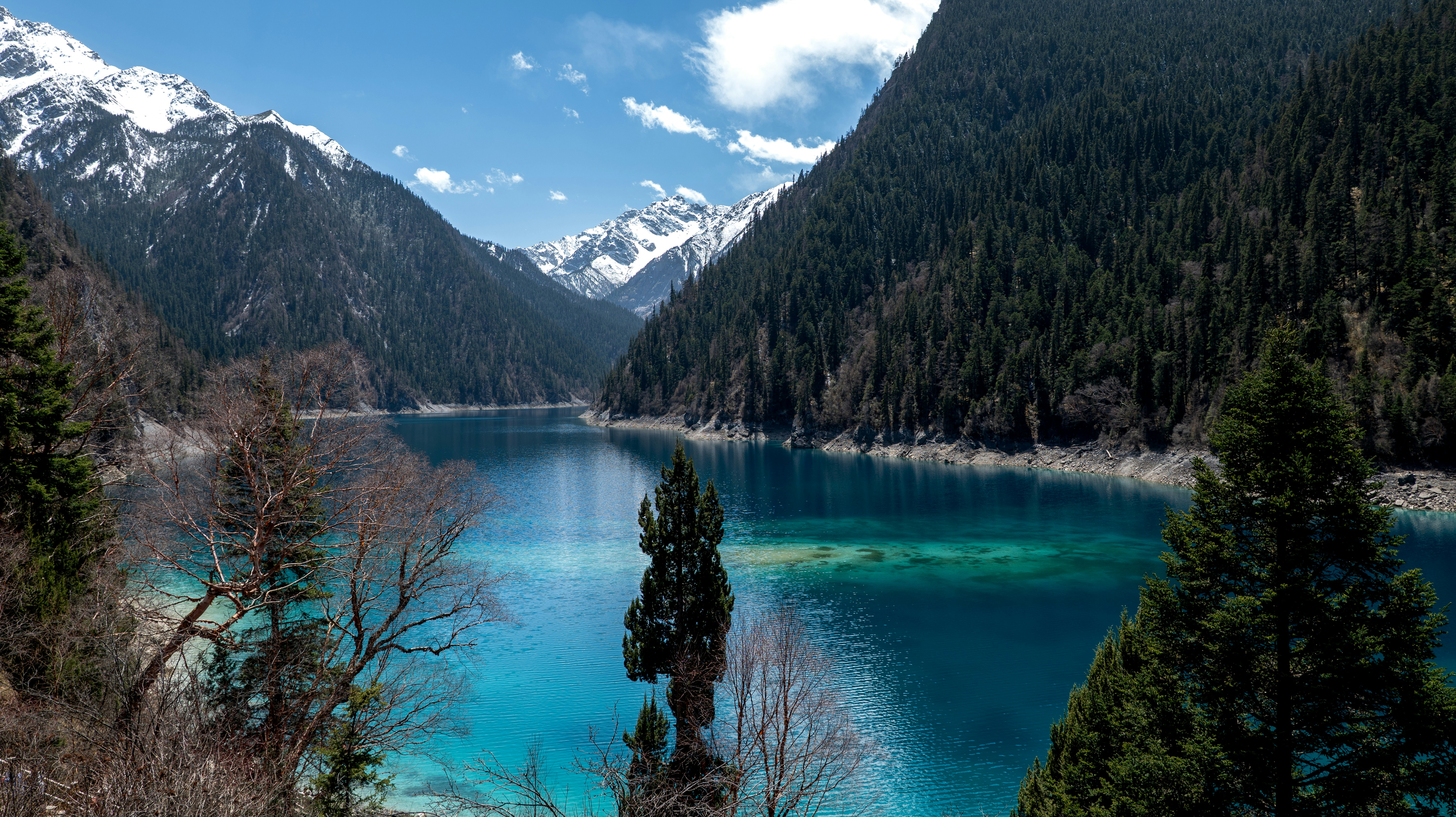 Turquoise Silence: A Glacier-Feed Lake Between Pine Cliffs