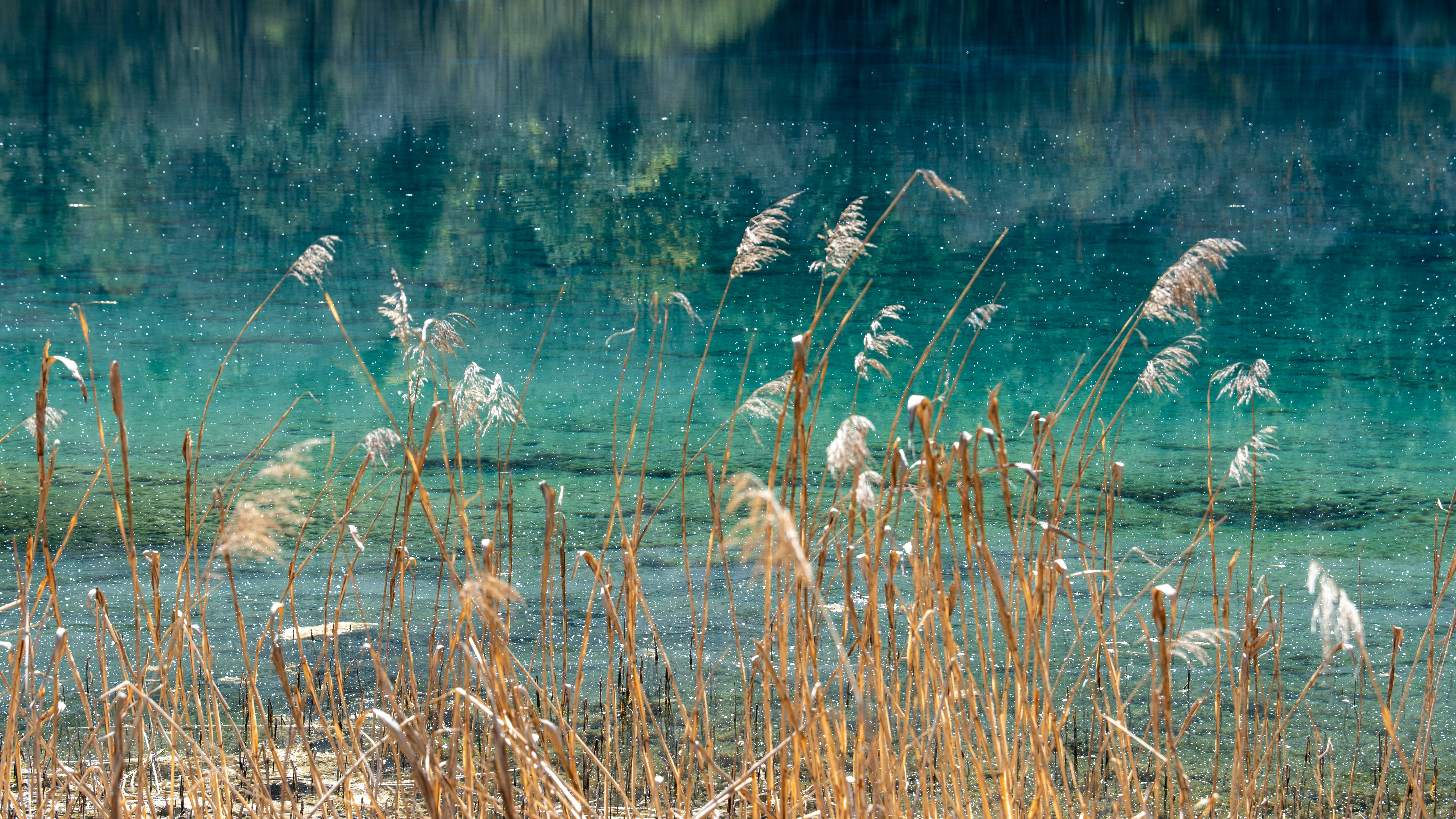 Photo by Shiloh Young with Panasonic Lumix S5